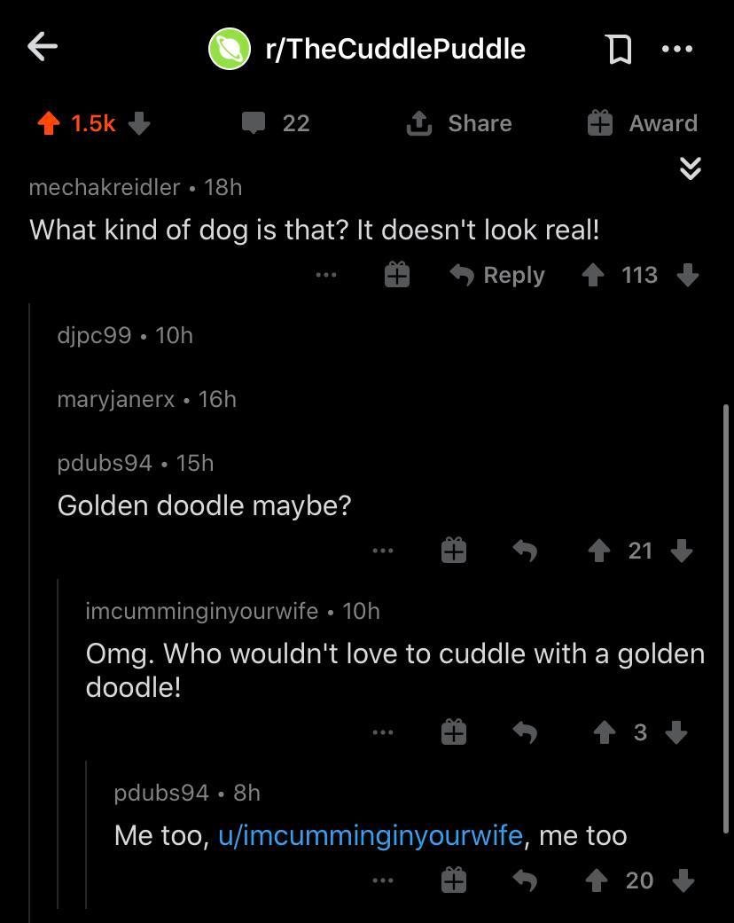 golden doodle cuddles! | Scrolller