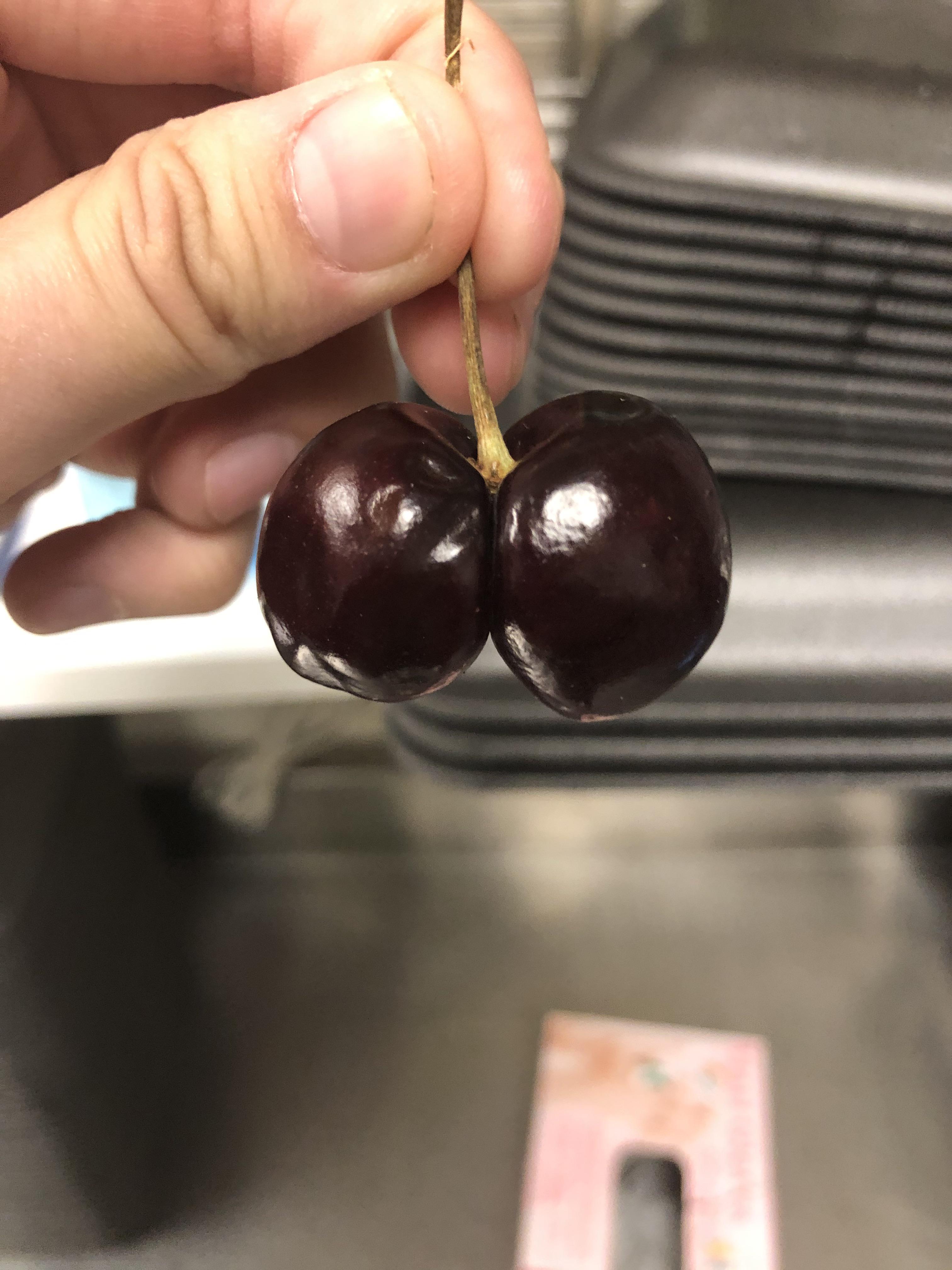 Gonna pop that cherry | Scrolller