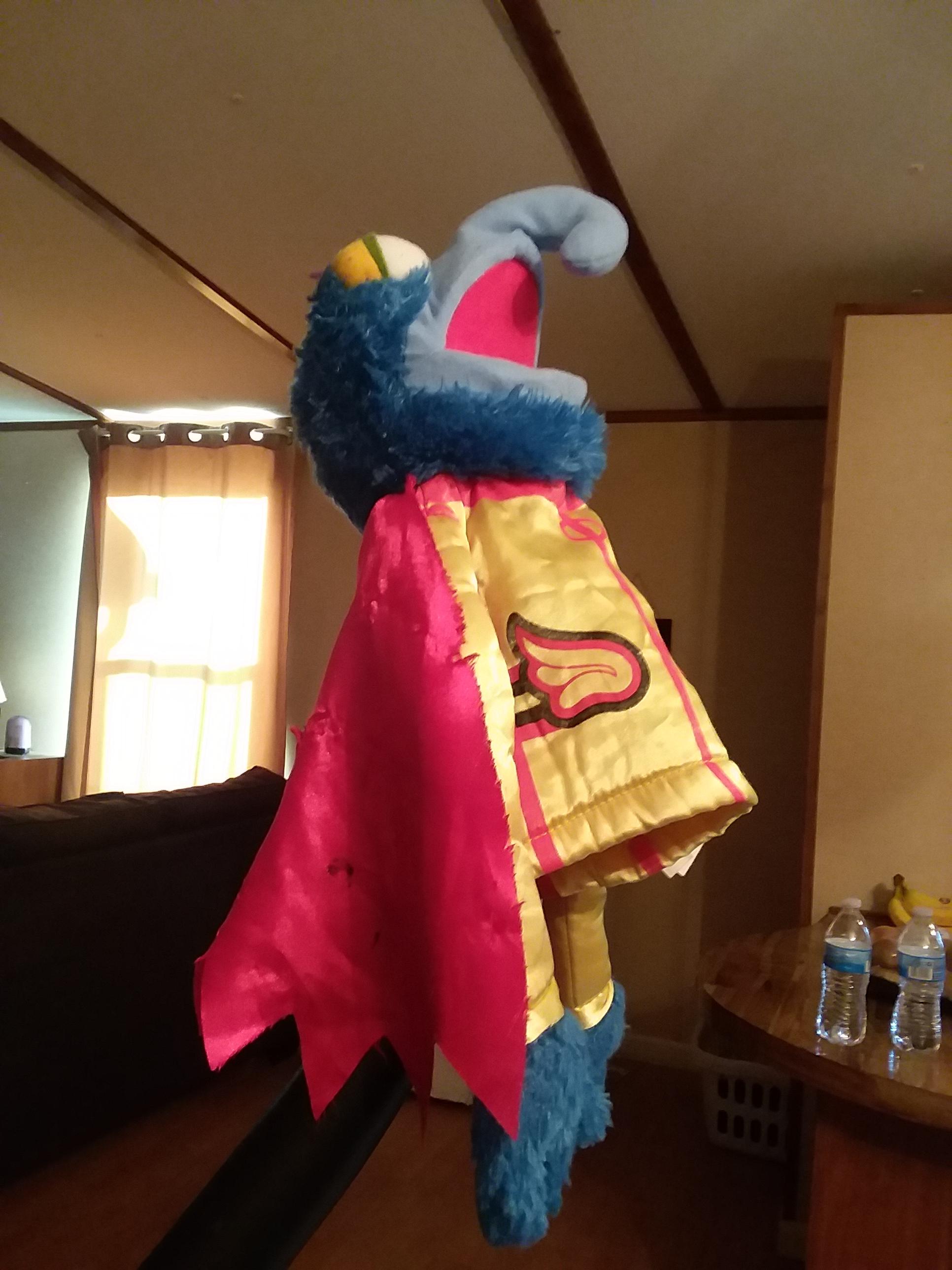 Gonzo Gone Wild | Scrolller