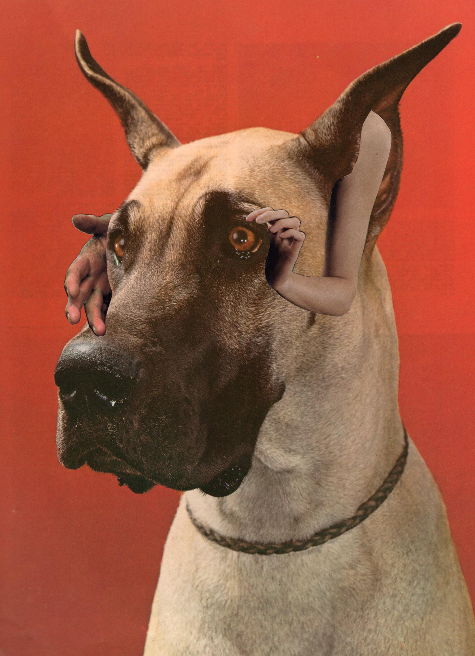 Good boy, look! [analog] | Scrolller