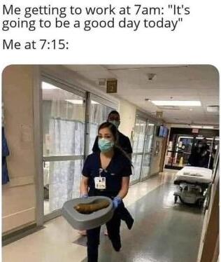 Good day at work | Scrolller