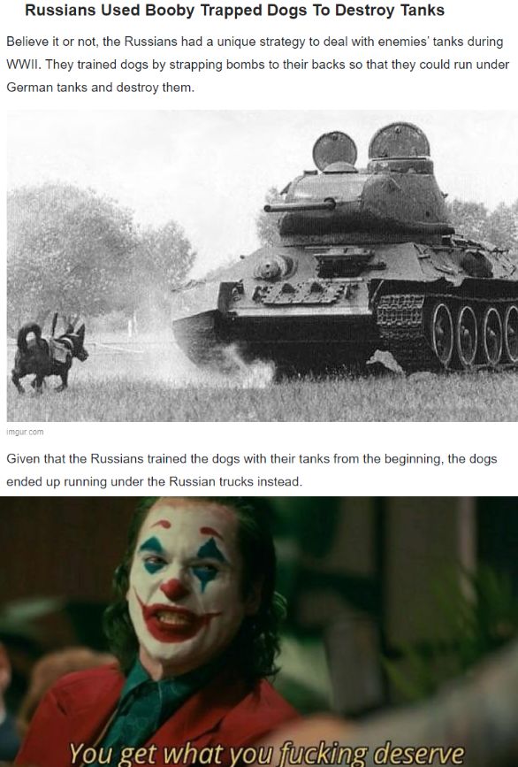 Good doggo | Scrolller