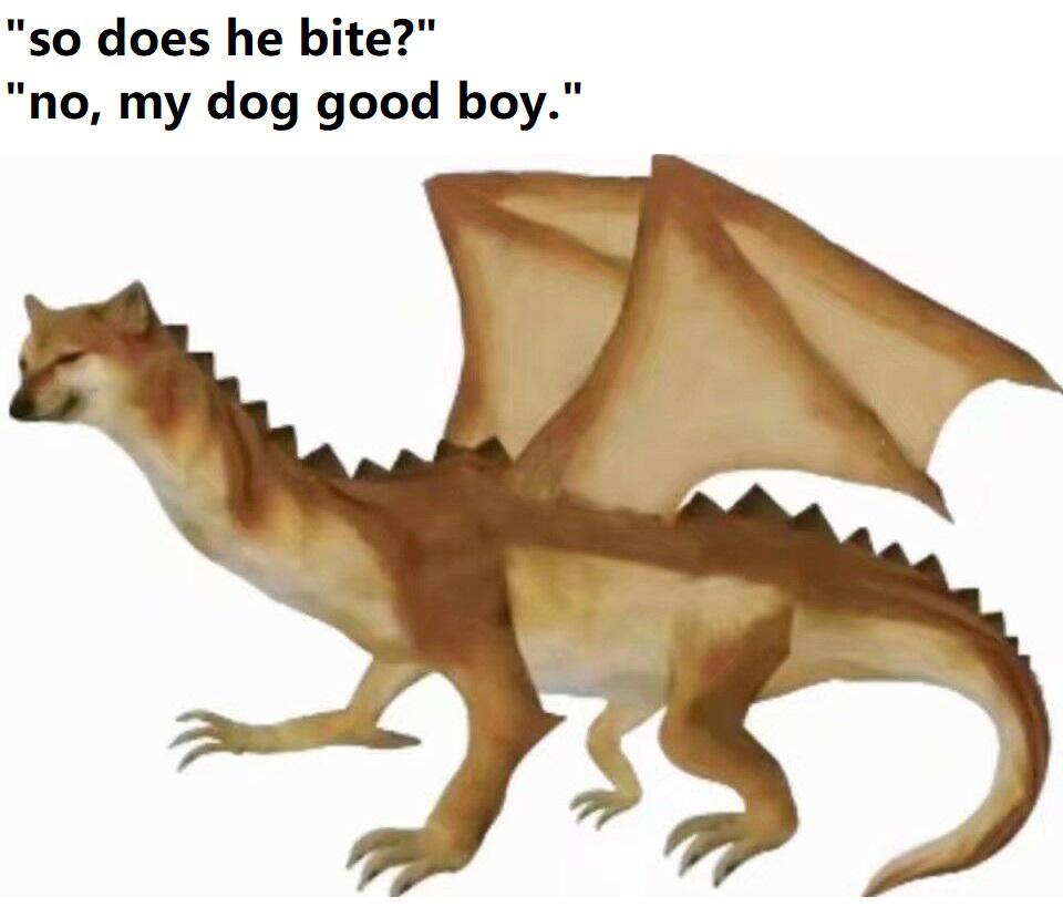 good doggy boy | Scrolller