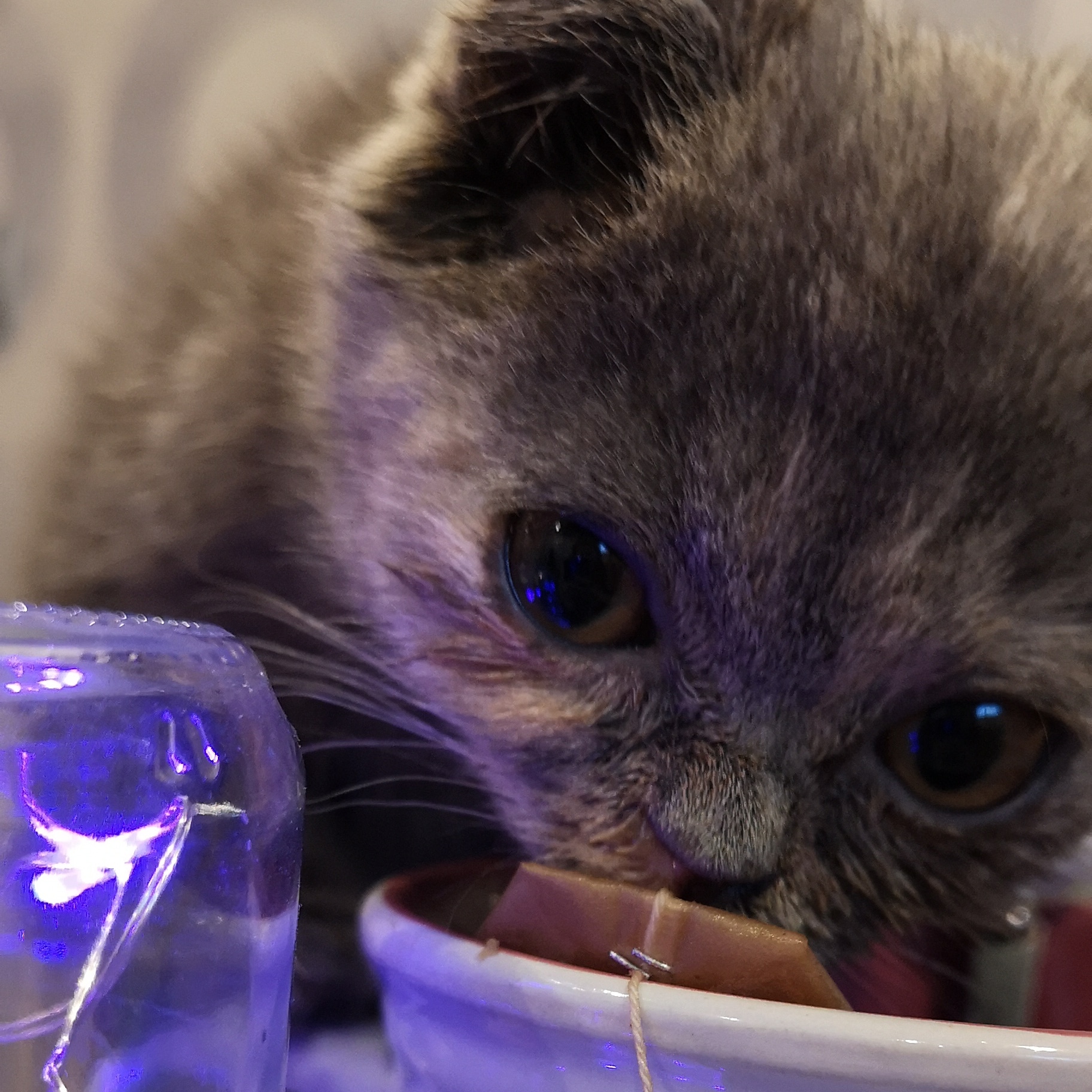 good evening | Scrolller