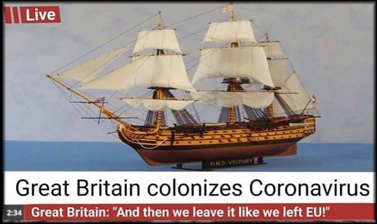 Good Idea | Scrolller