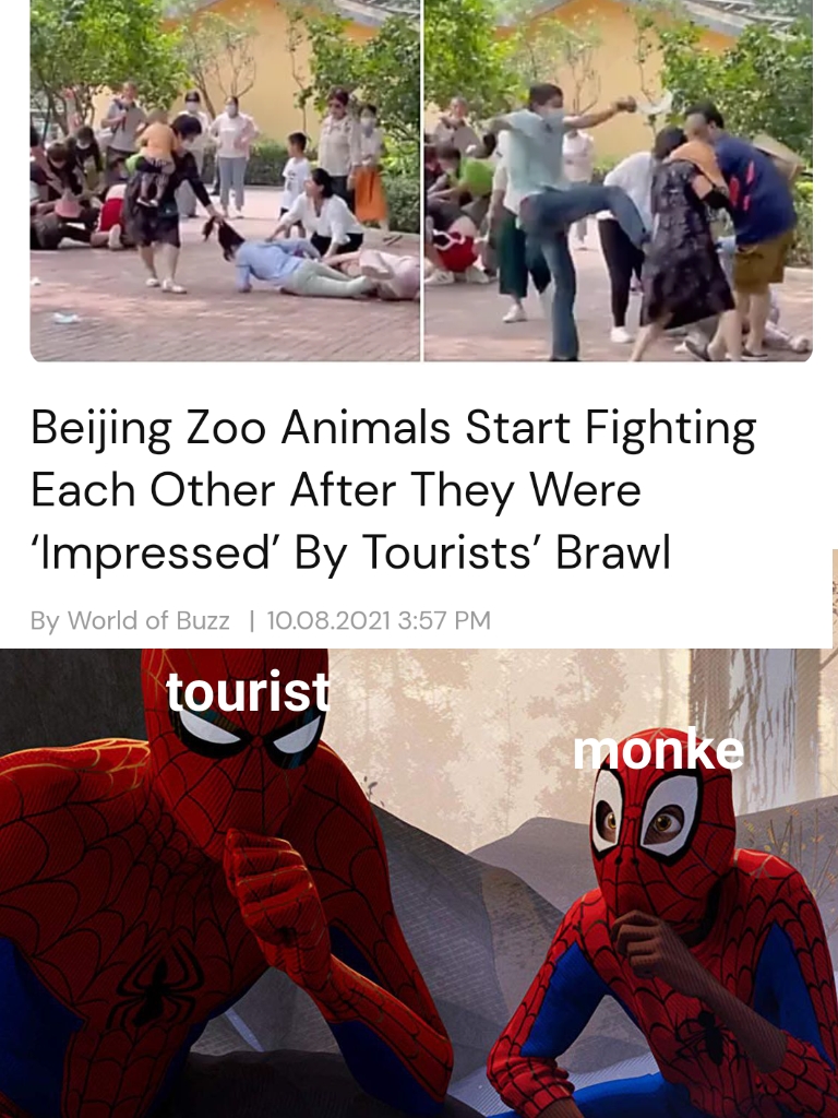 Good monke follow human | Scrolller