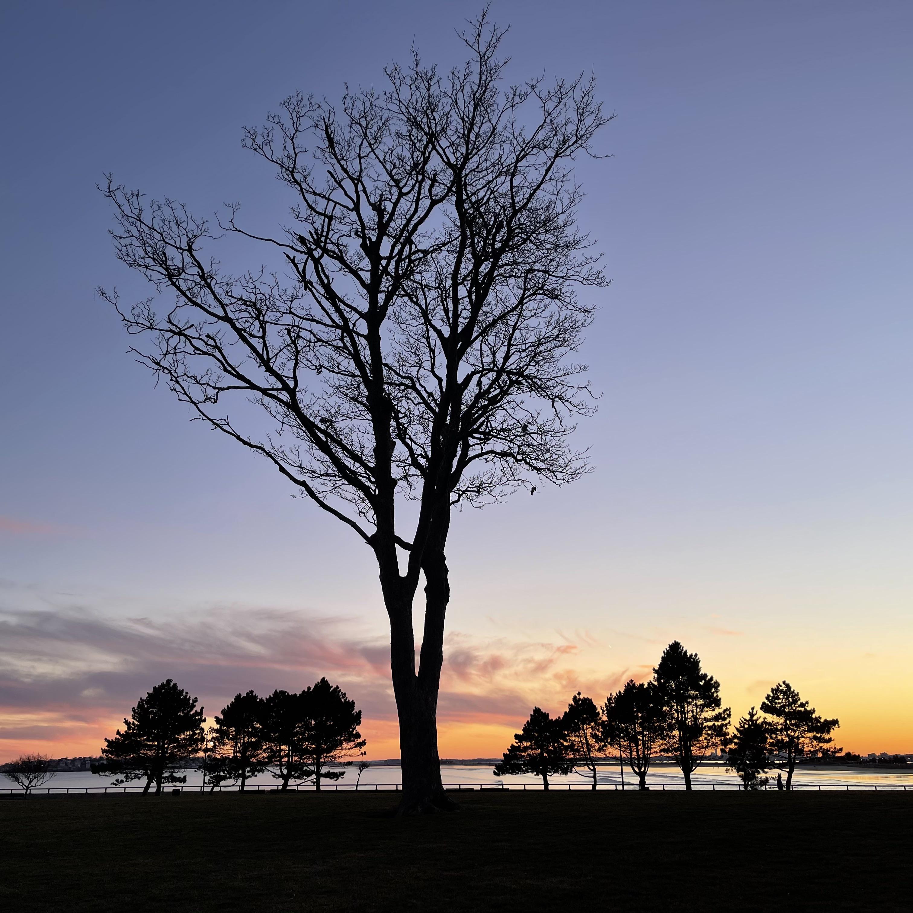 Good morning everyone! Trying to build a new hobby of capturing beautiful landscape photos ...