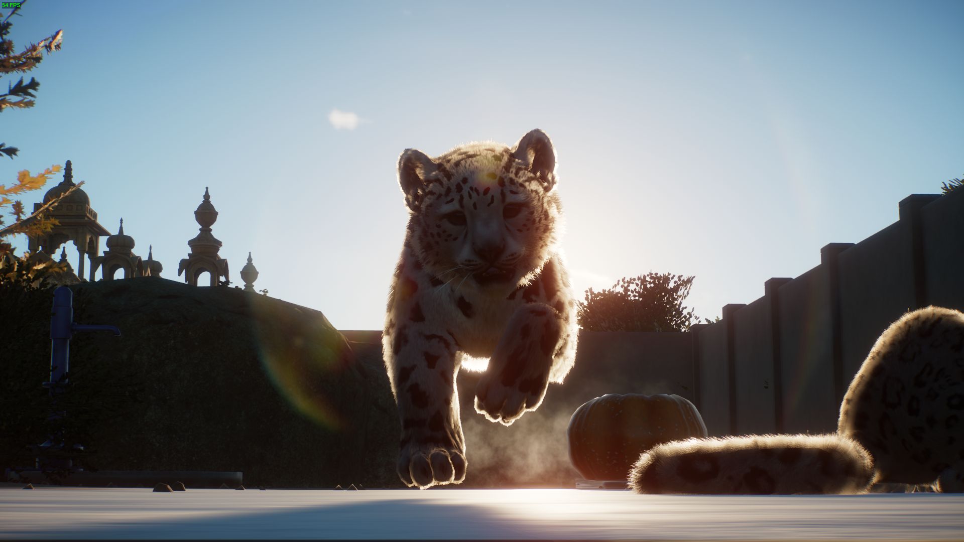 Goodbye Beta Scrolller