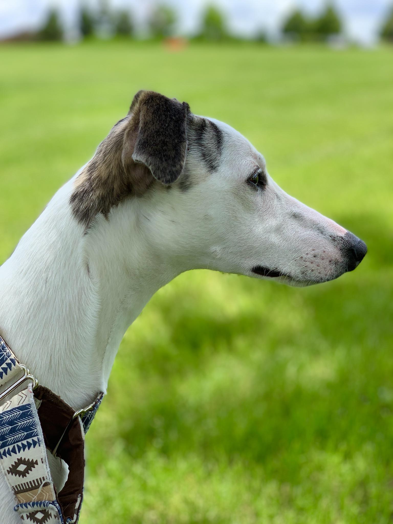 Goodbye cold and rainy weather- hello spring! | Scrolller