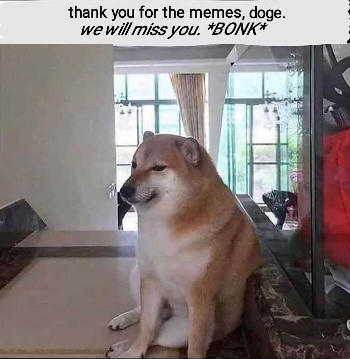 goodbye, doge | Scrolller