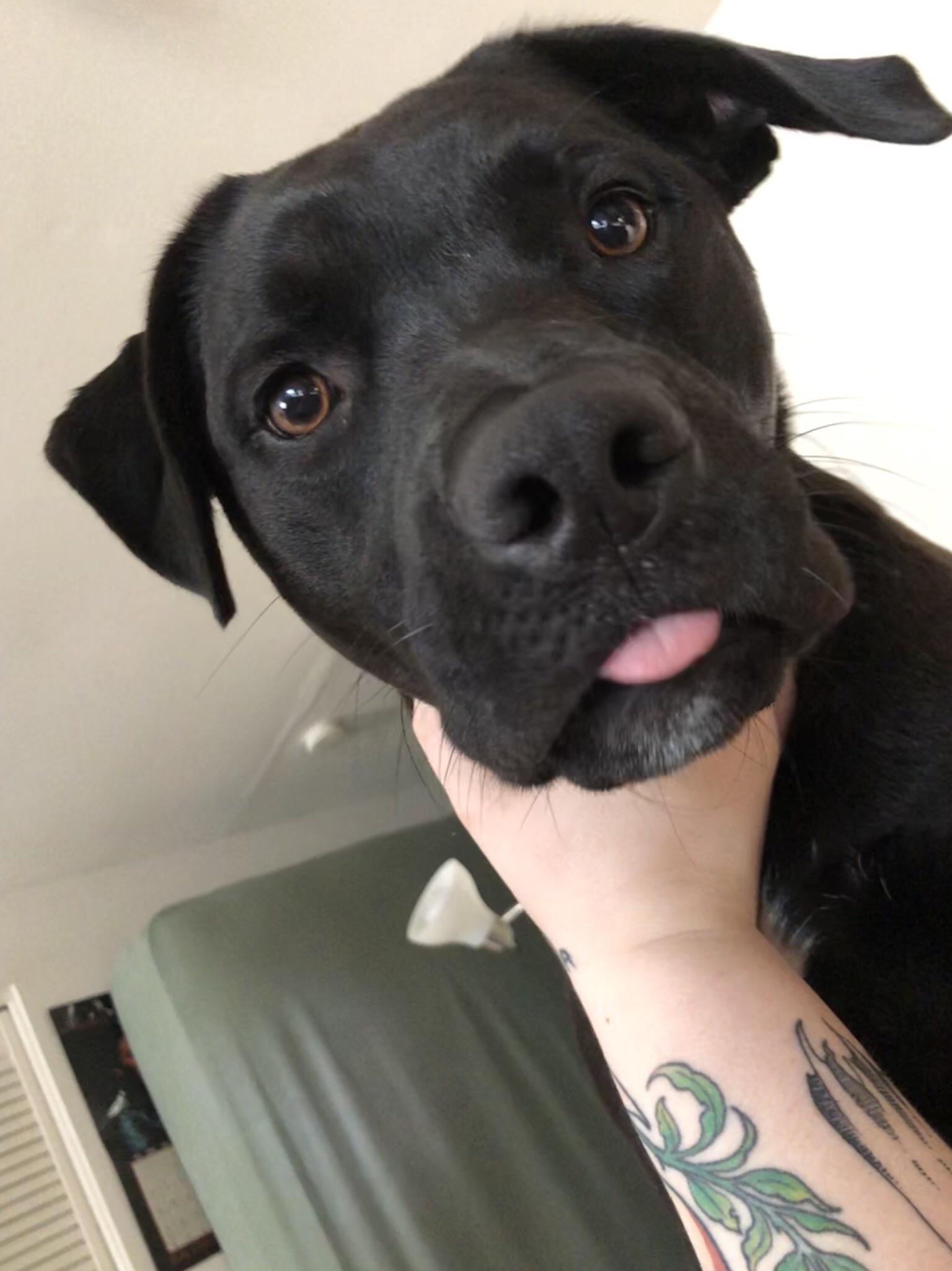 goodmorning blop | Scrolller