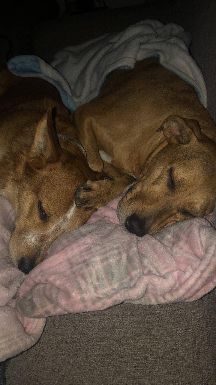 Goodnight | Scrolller