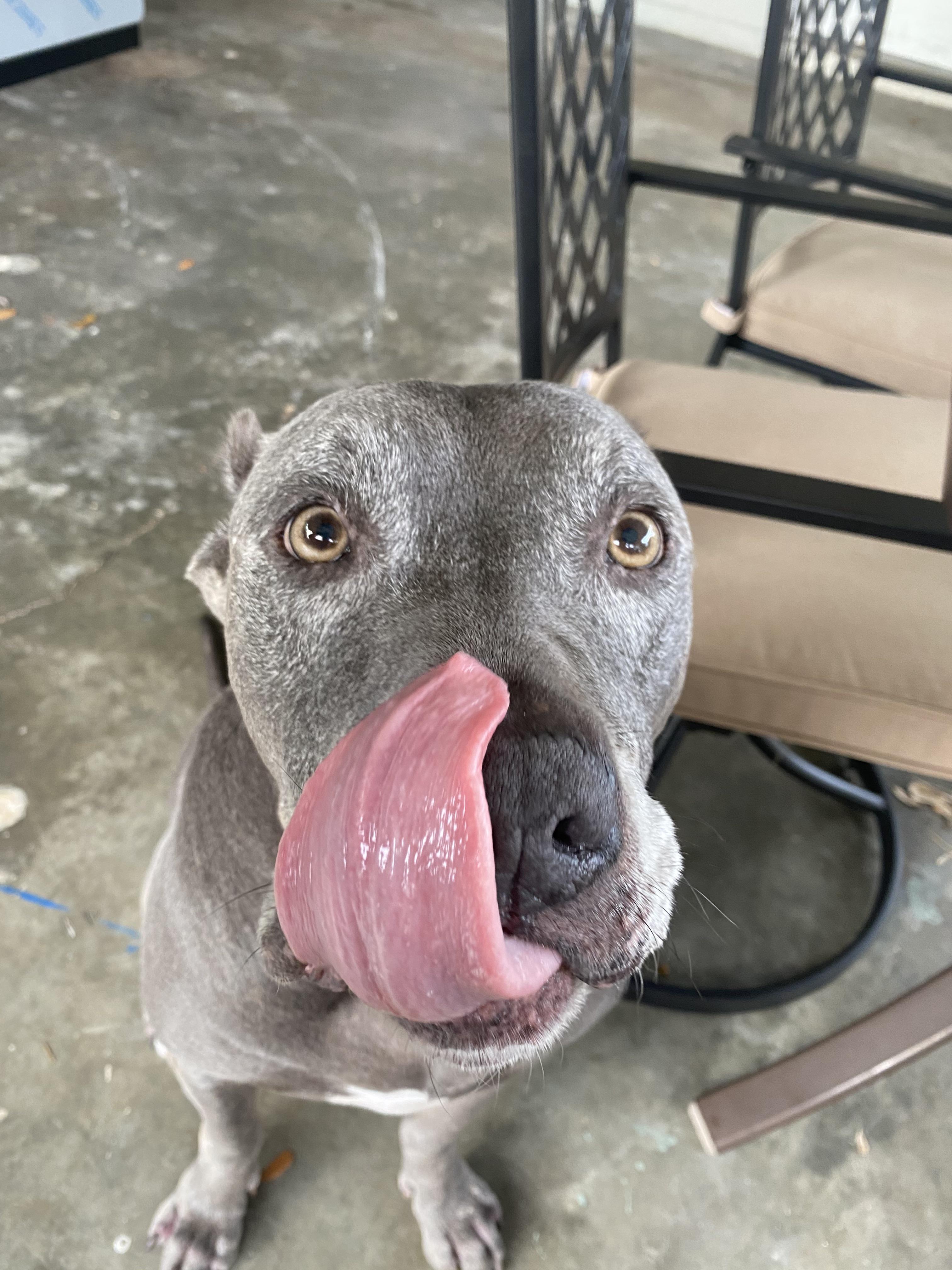 Goofy old boy | Scrolller