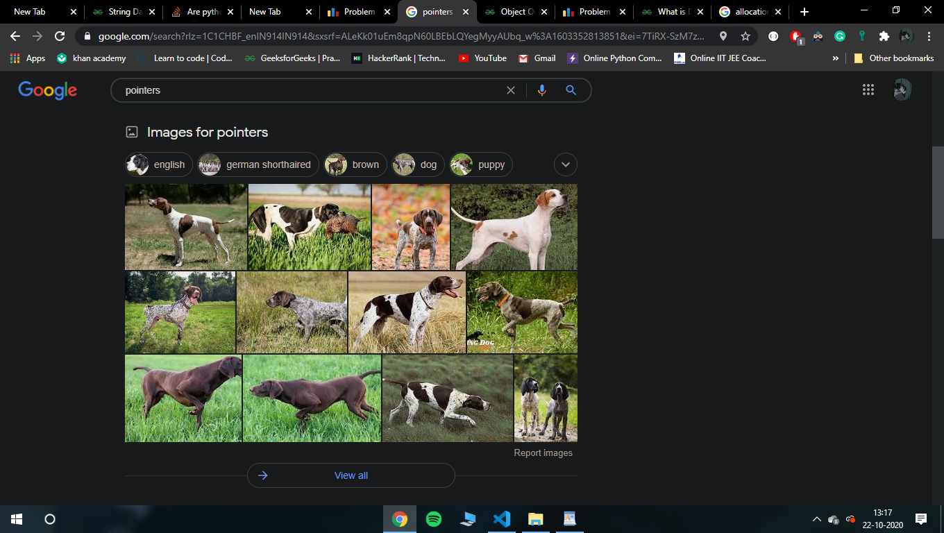 Google knows best. | Scrolller