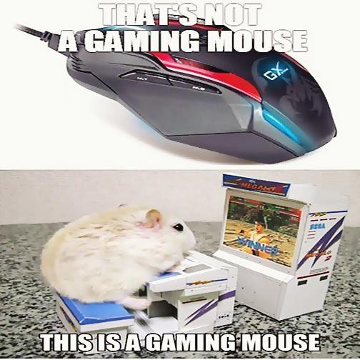 Google knows best gamers! | Scrolller