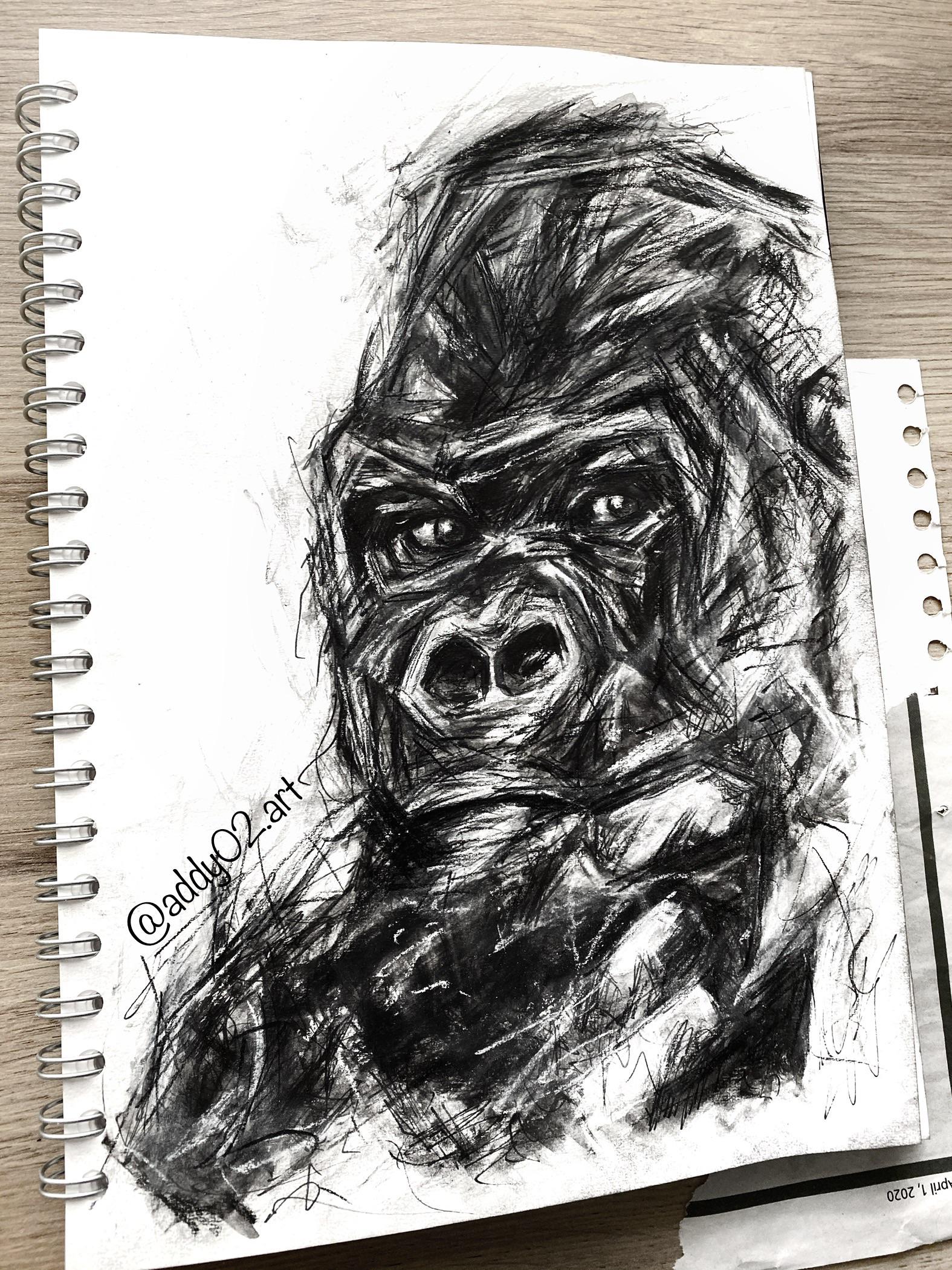 Gorilla Sketch that i done ️ | Scrolller