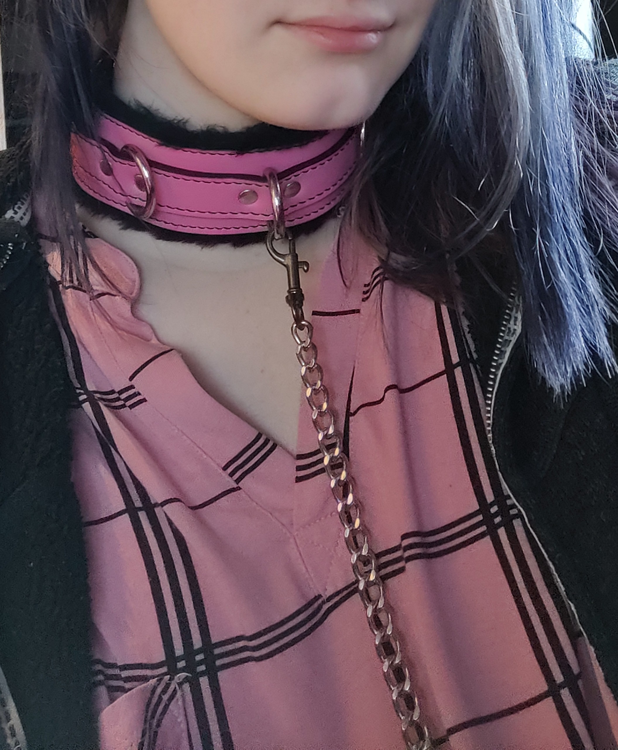 Got a new collar, very comfy {OC} | Scrolller