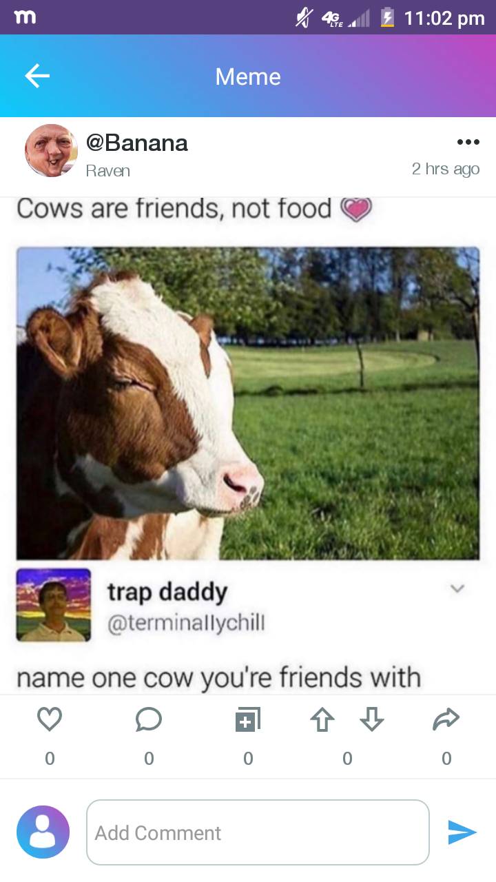 Got beef? | Scrolller