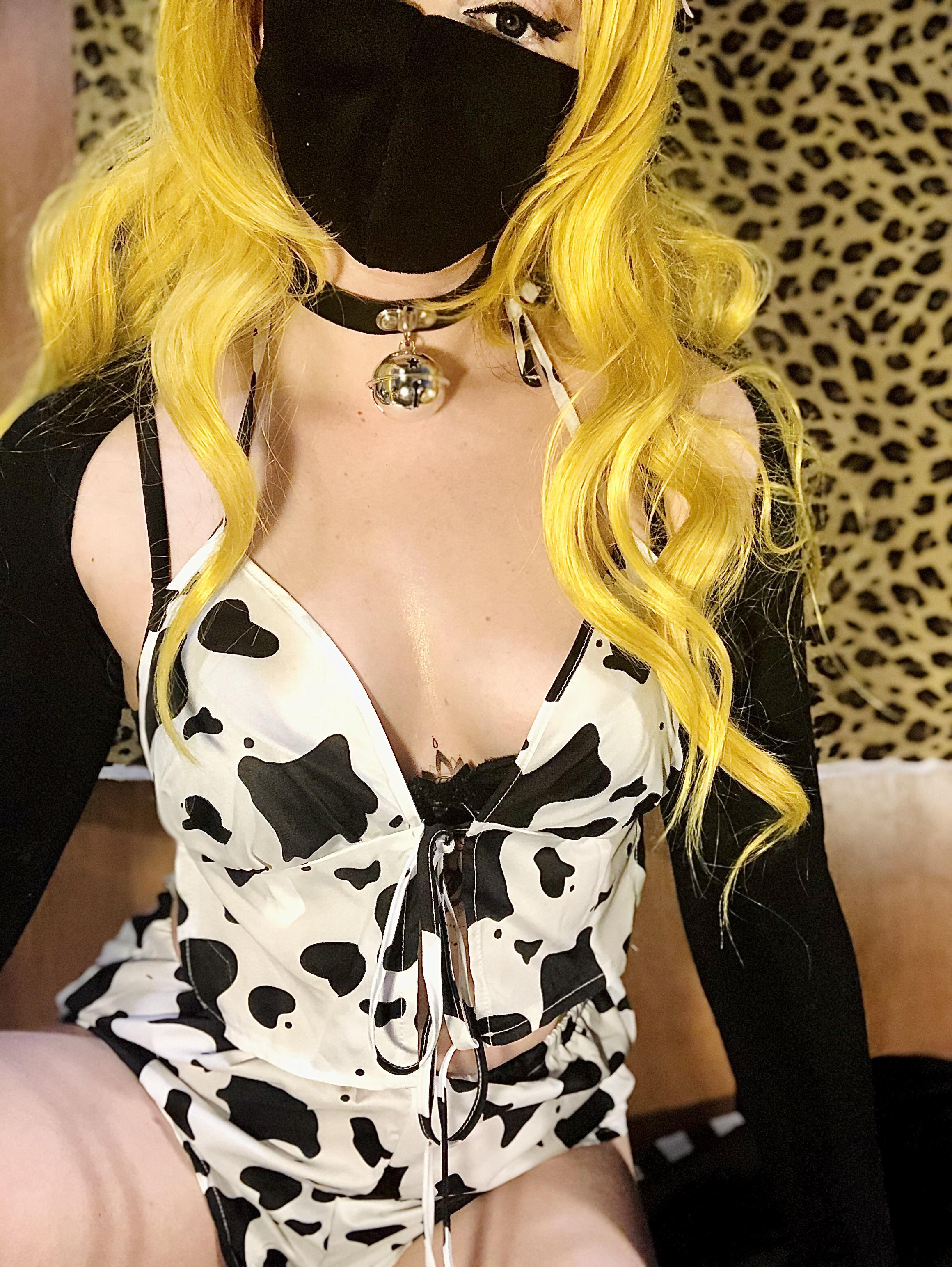 Goth cow 🖤🐮🖤🐮 | Scrolller