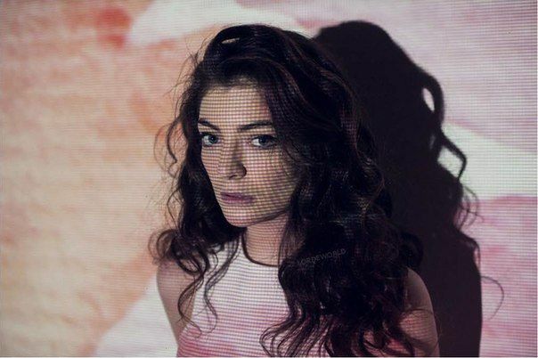 Grid Lines | Scrolller