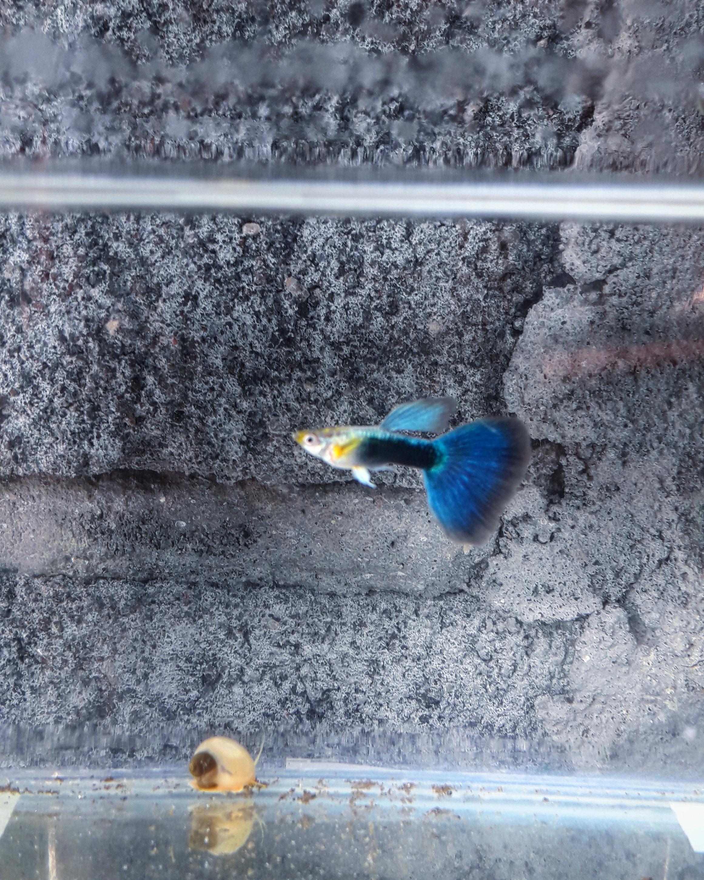 Grooming time | Scrolller