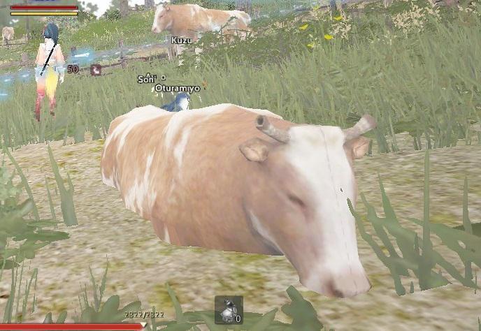 Ground beef | Scrolller