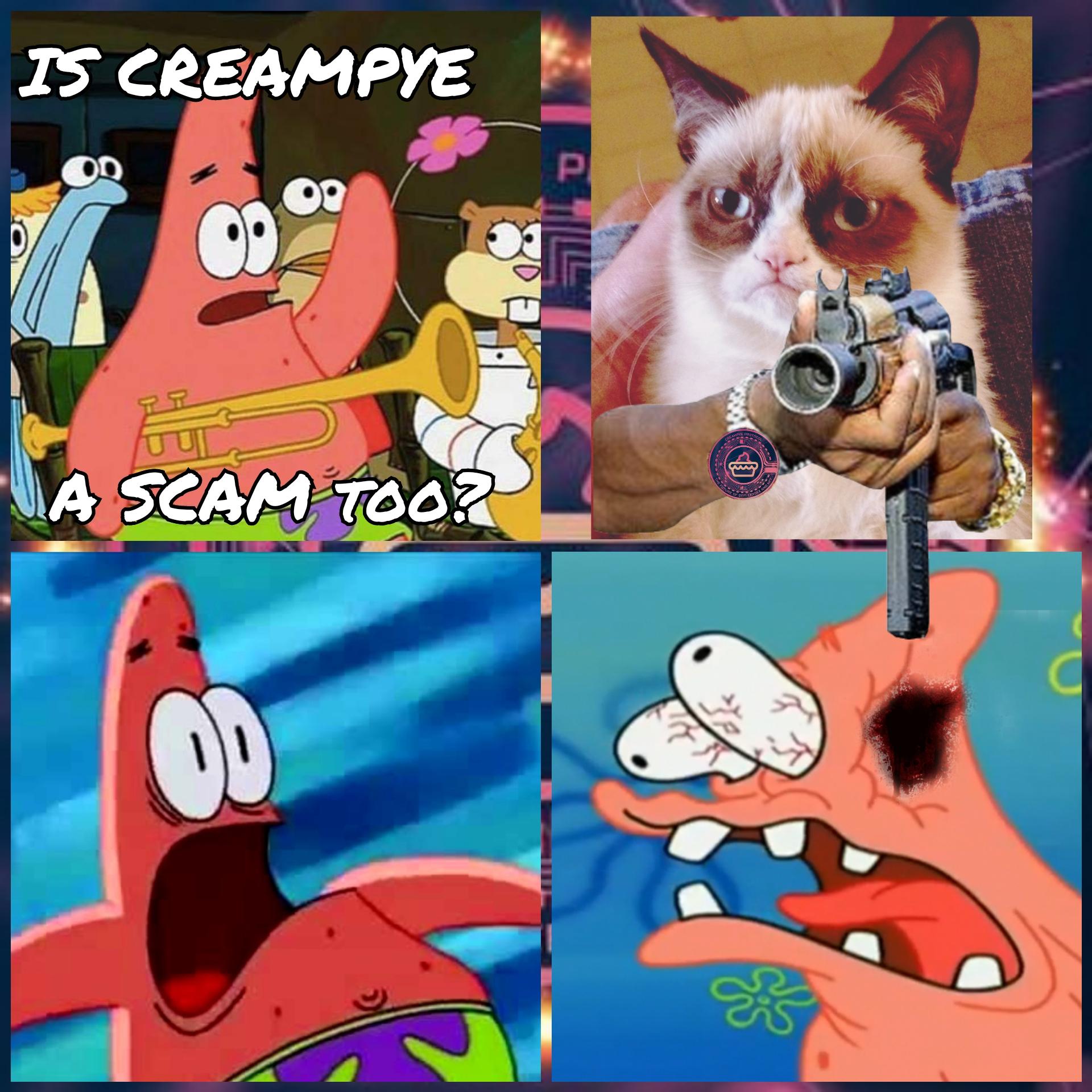 Grumpy Cat knows how to answer to dumb questions | Scrolller