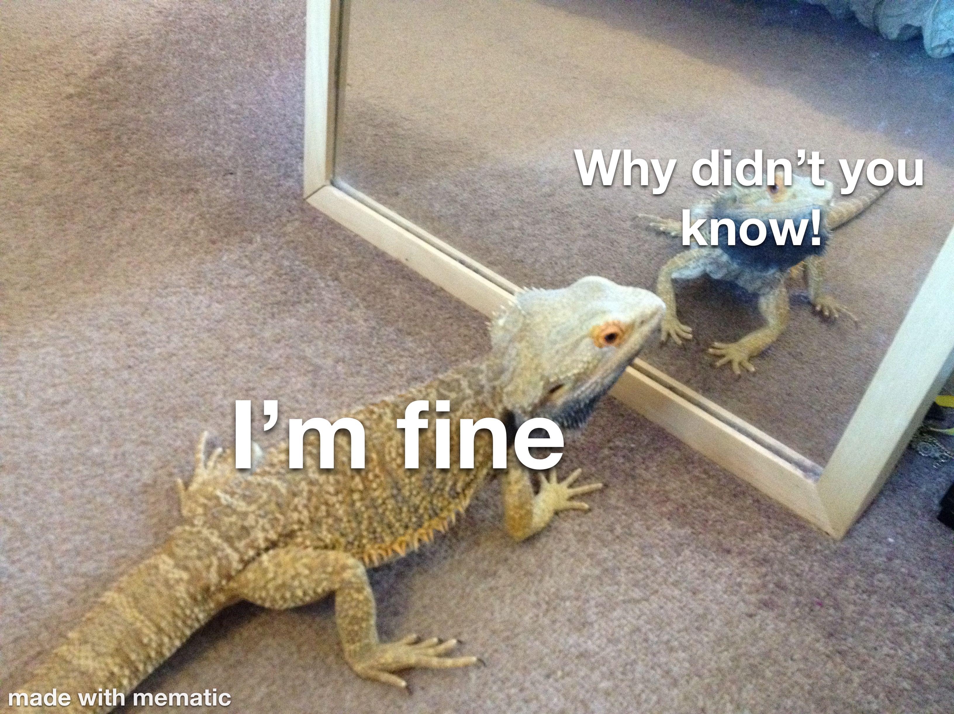 guess they *mirror* us? | Scrolller