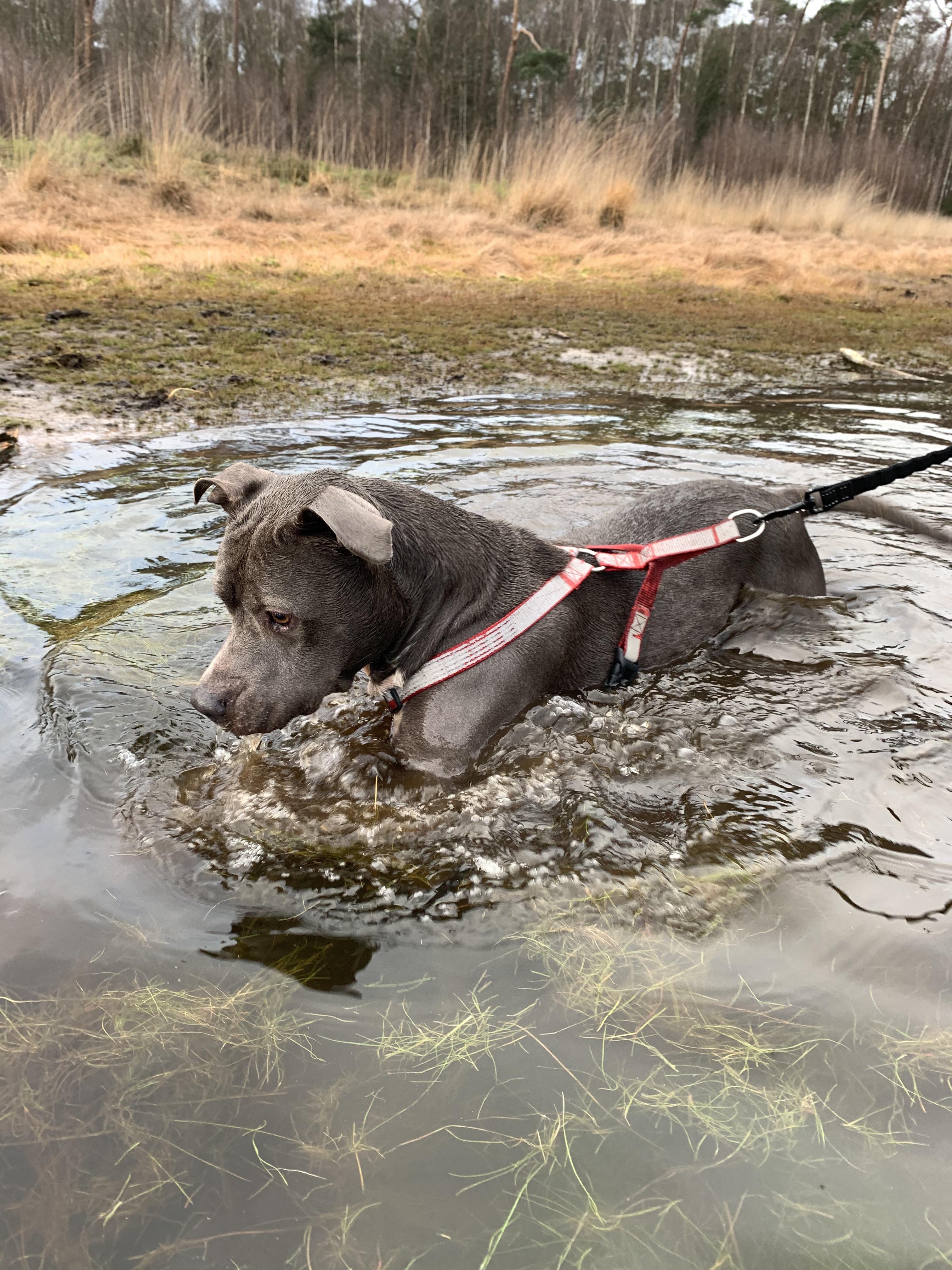 Guess who got a bath tonight? | Scrolller
