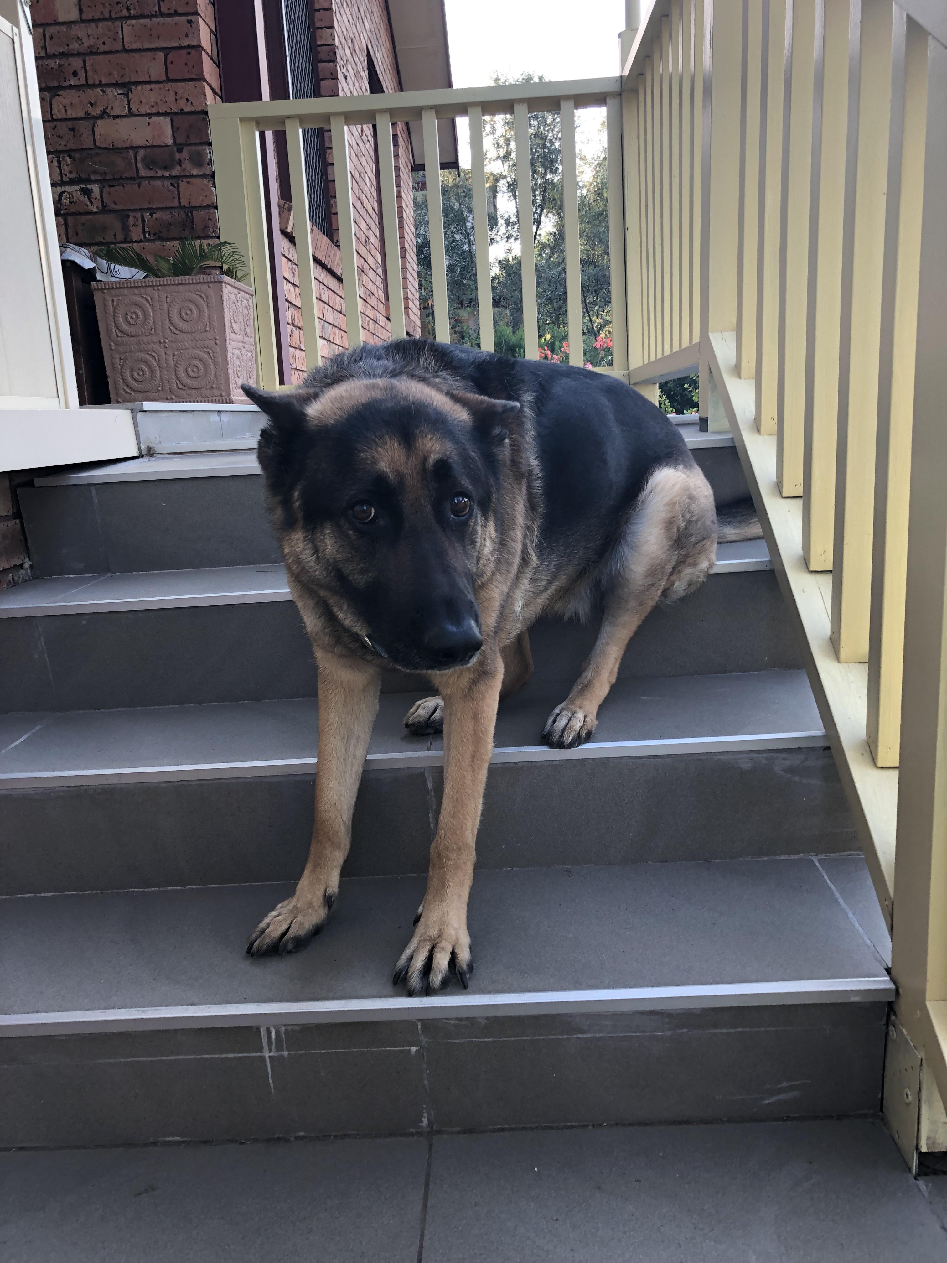 Guilt sitting | Scrolller