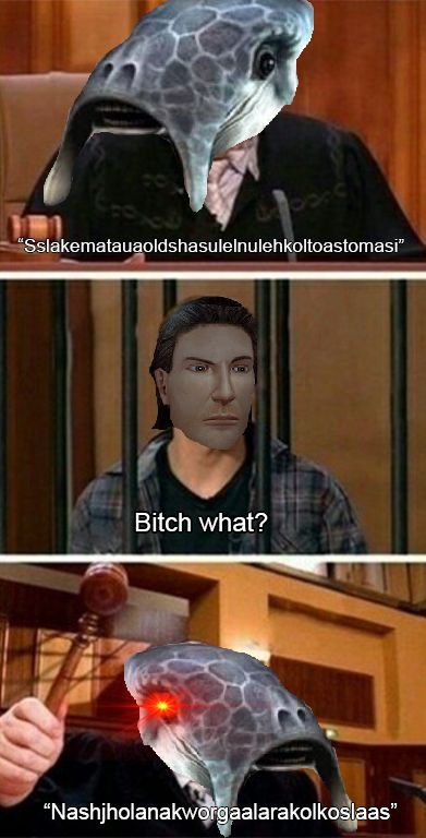 Guilty ! | Scrolller