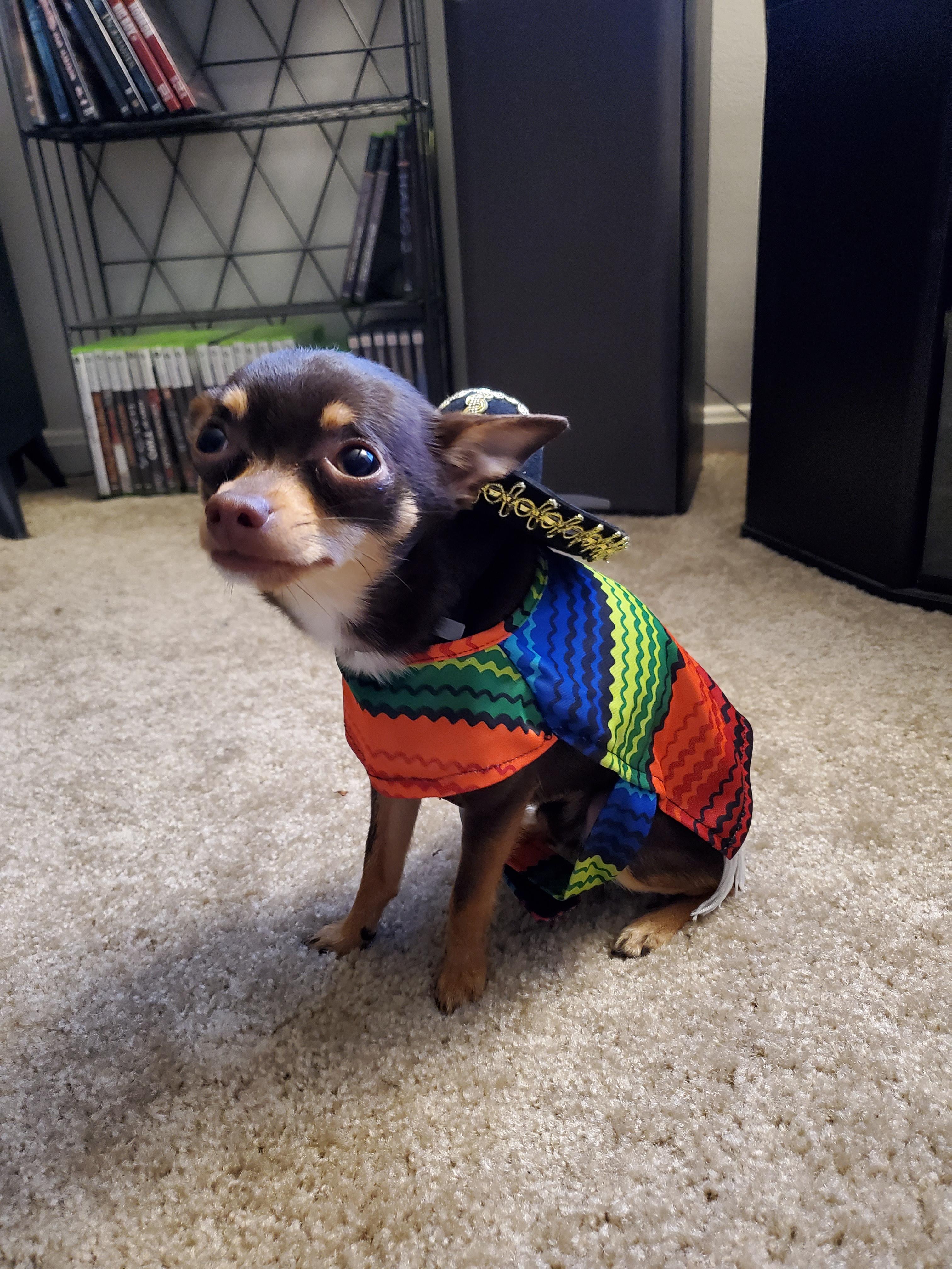 Guinness celebrating Cinco de Mayo. | Scrolller