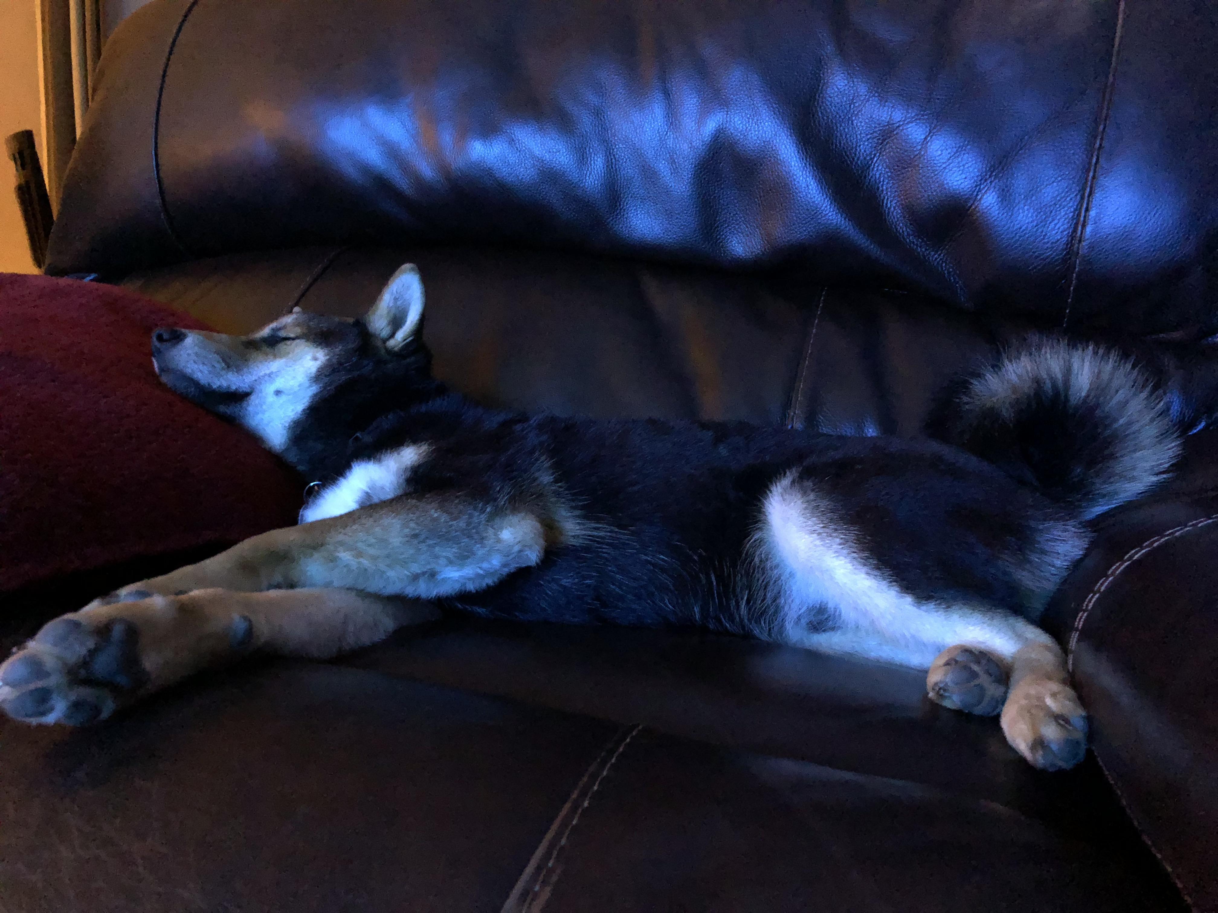 Gunner lounging | Scrolller