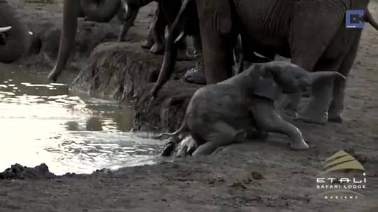 Guys, a little help here please! | Scrolller