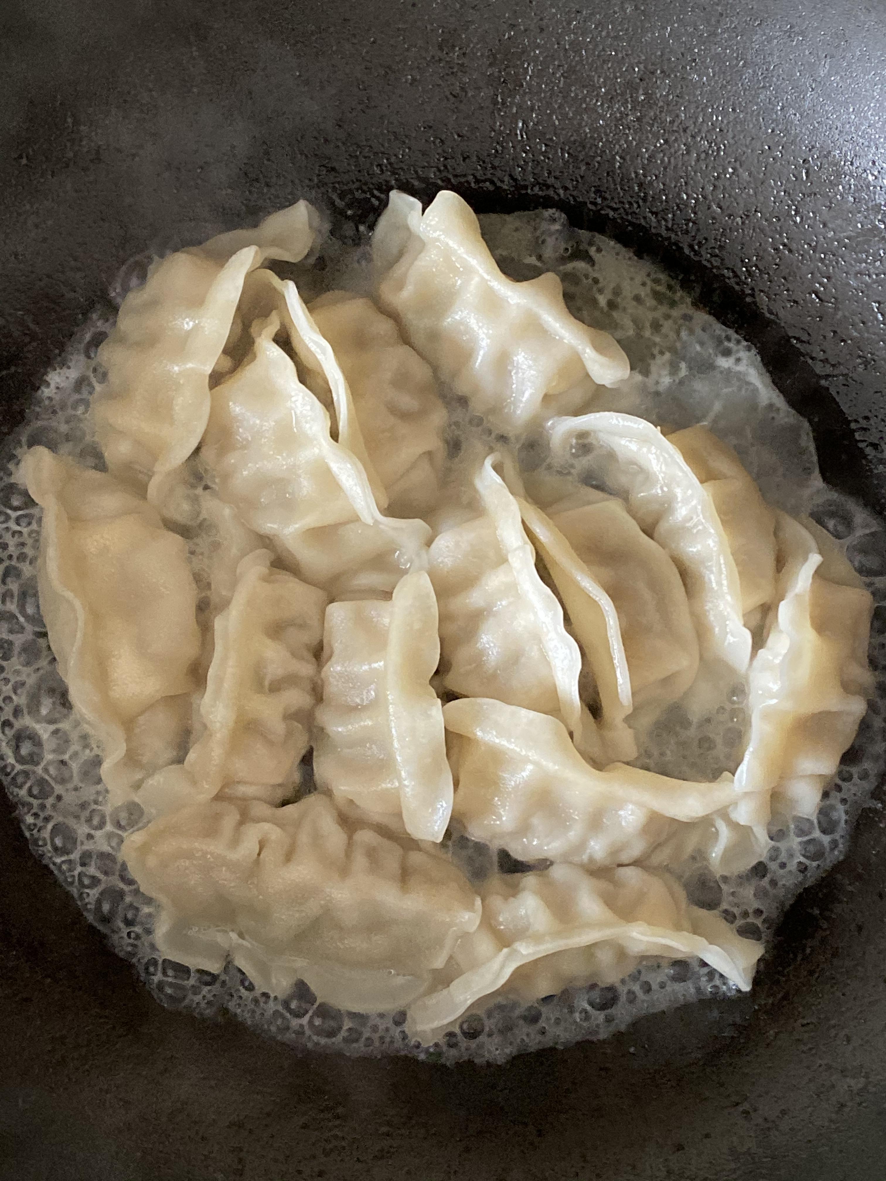 Gyoza Frying in the Pan | Scrolller