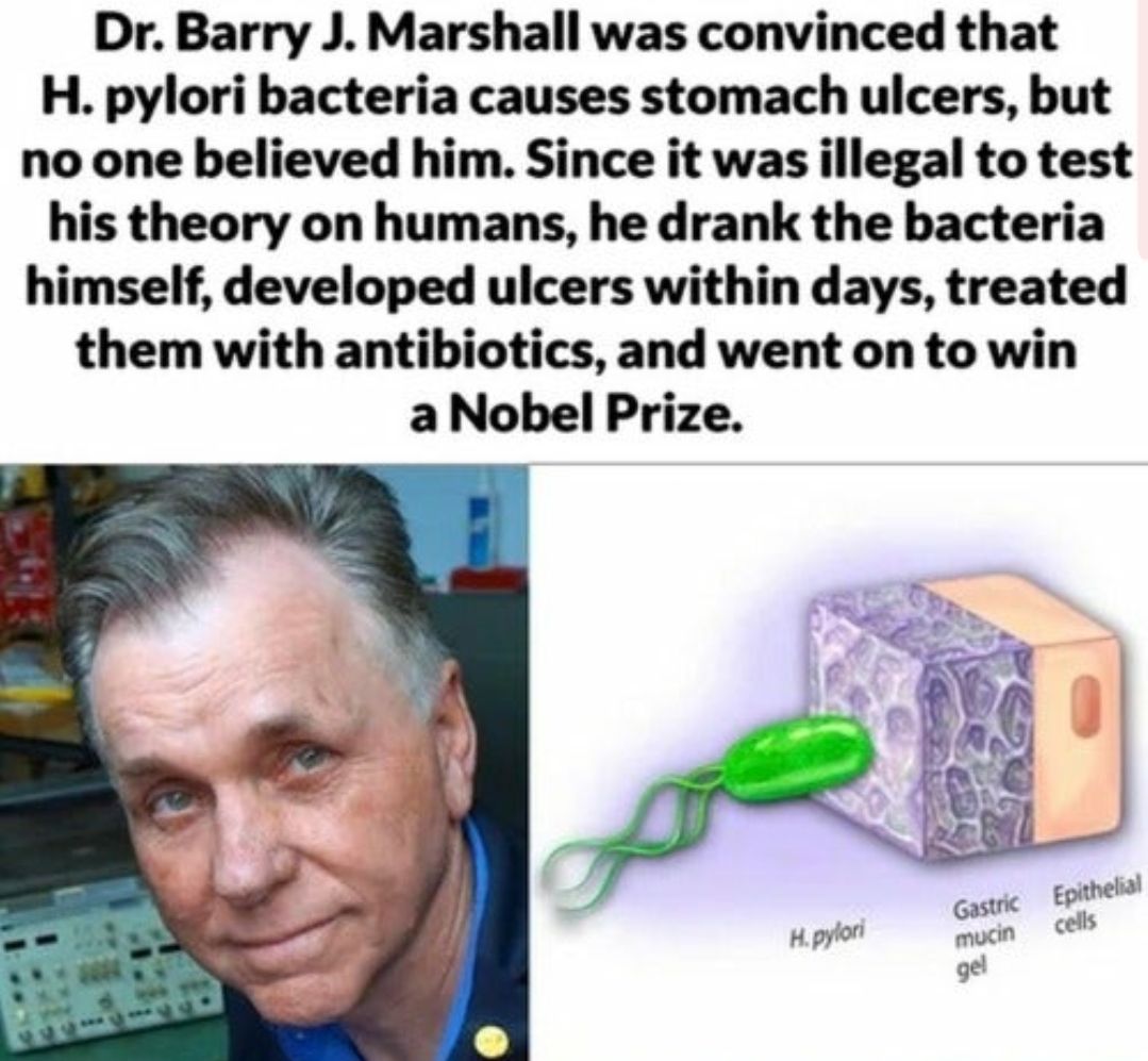 H.Pylori bacteria causes stomach ulcers. | Scrolller