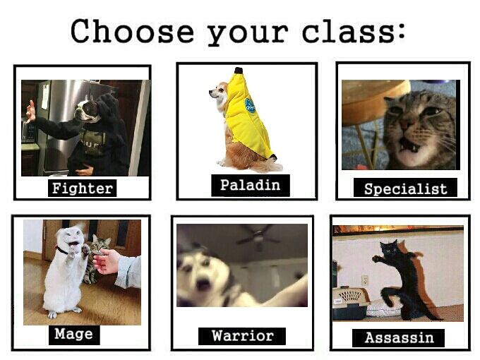 Haha yes | Scrolller