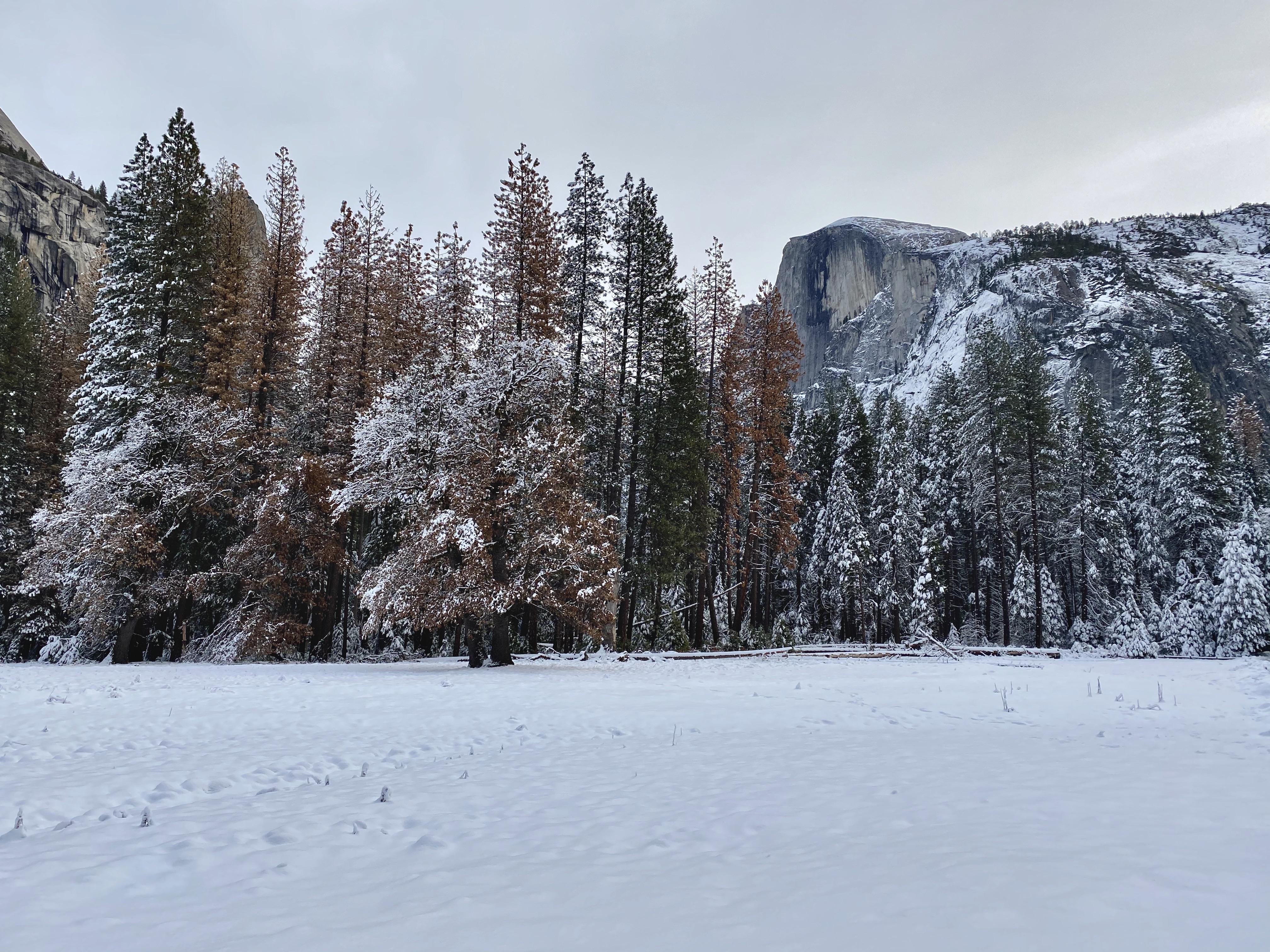 Half Dome in winter. | Scrolller