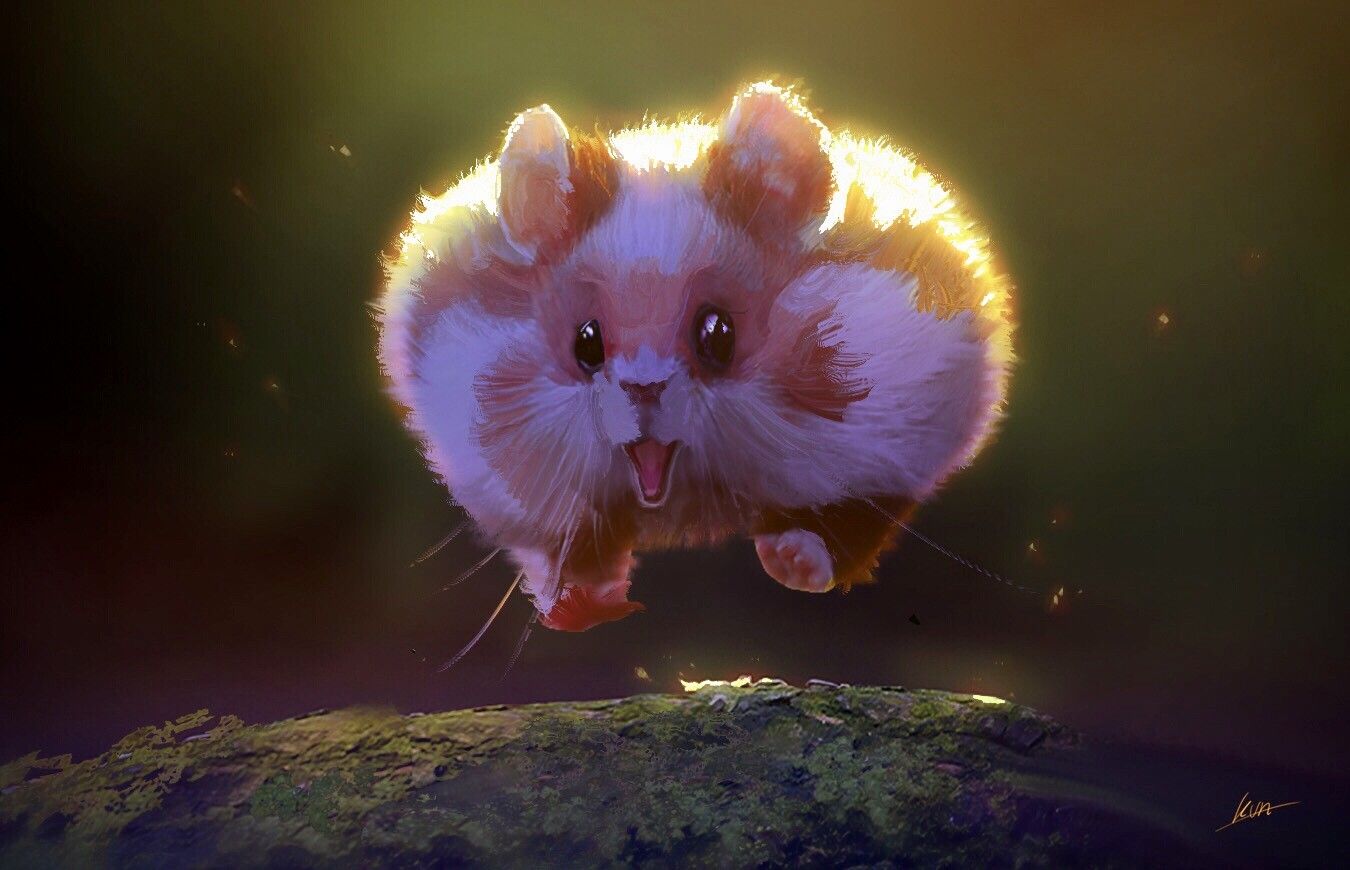 Hamster by Yakun Wang | Scrolller
