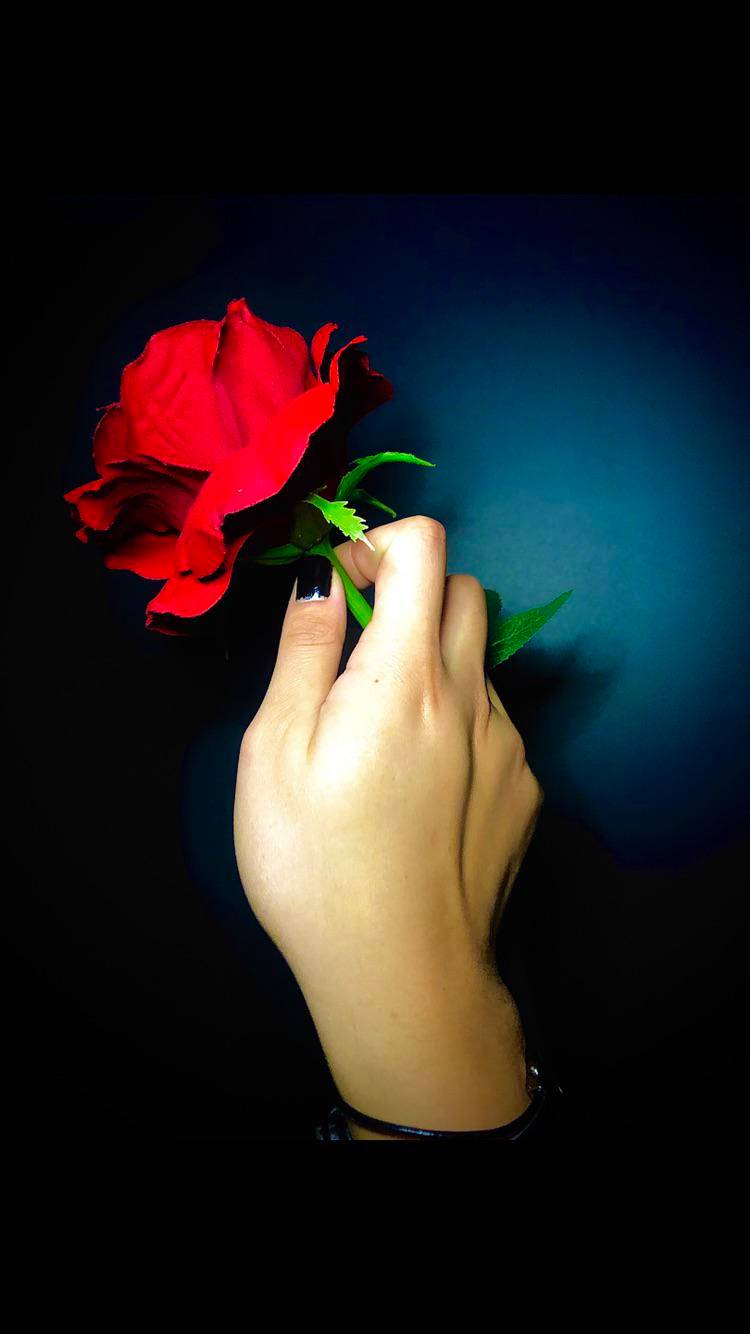 Hand Aesthetics | Scrolller