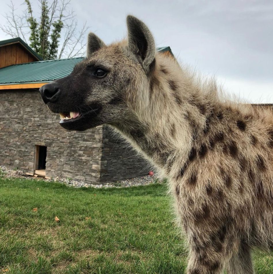 Handsome | Scrolller