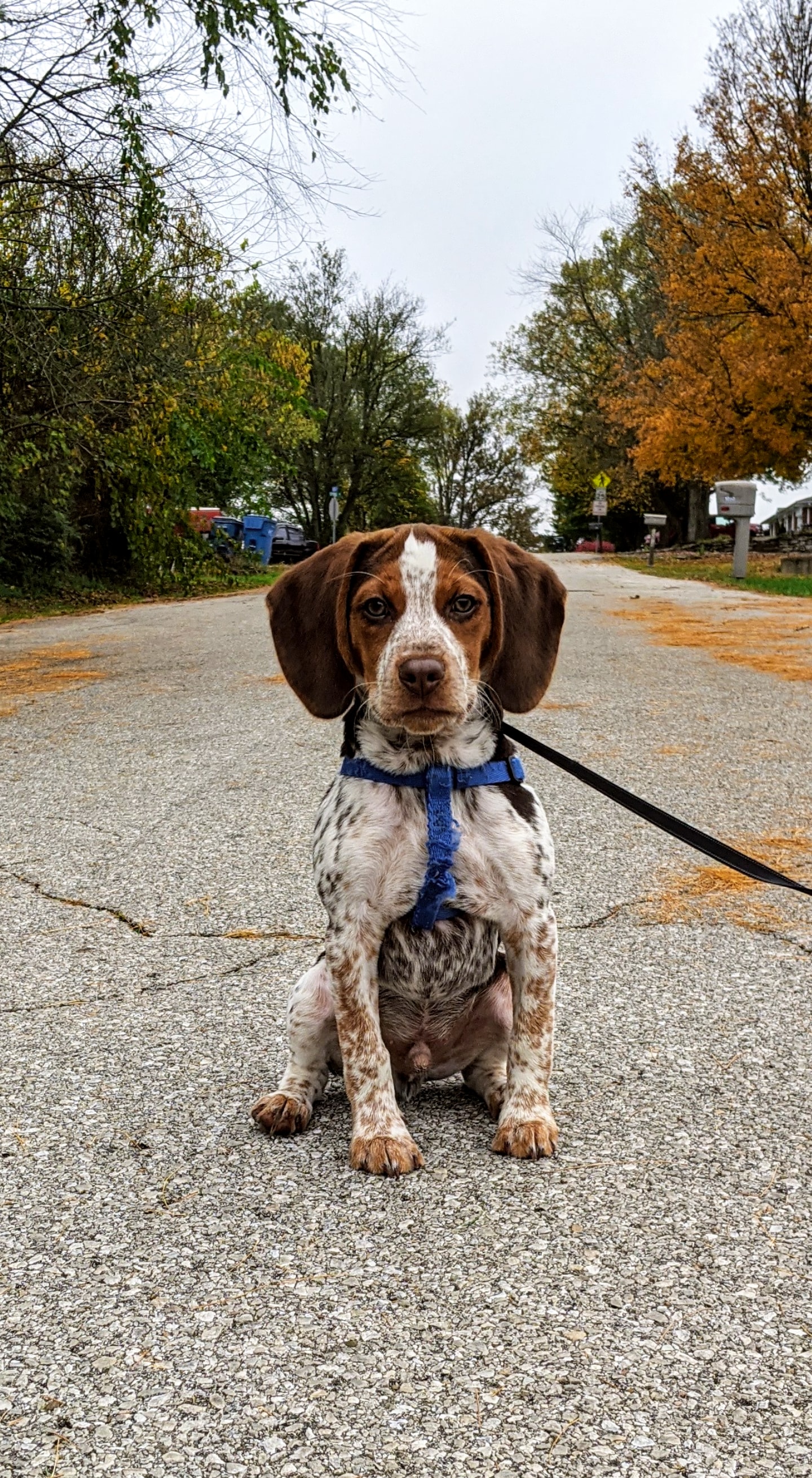 Handsome boy | Scrolller