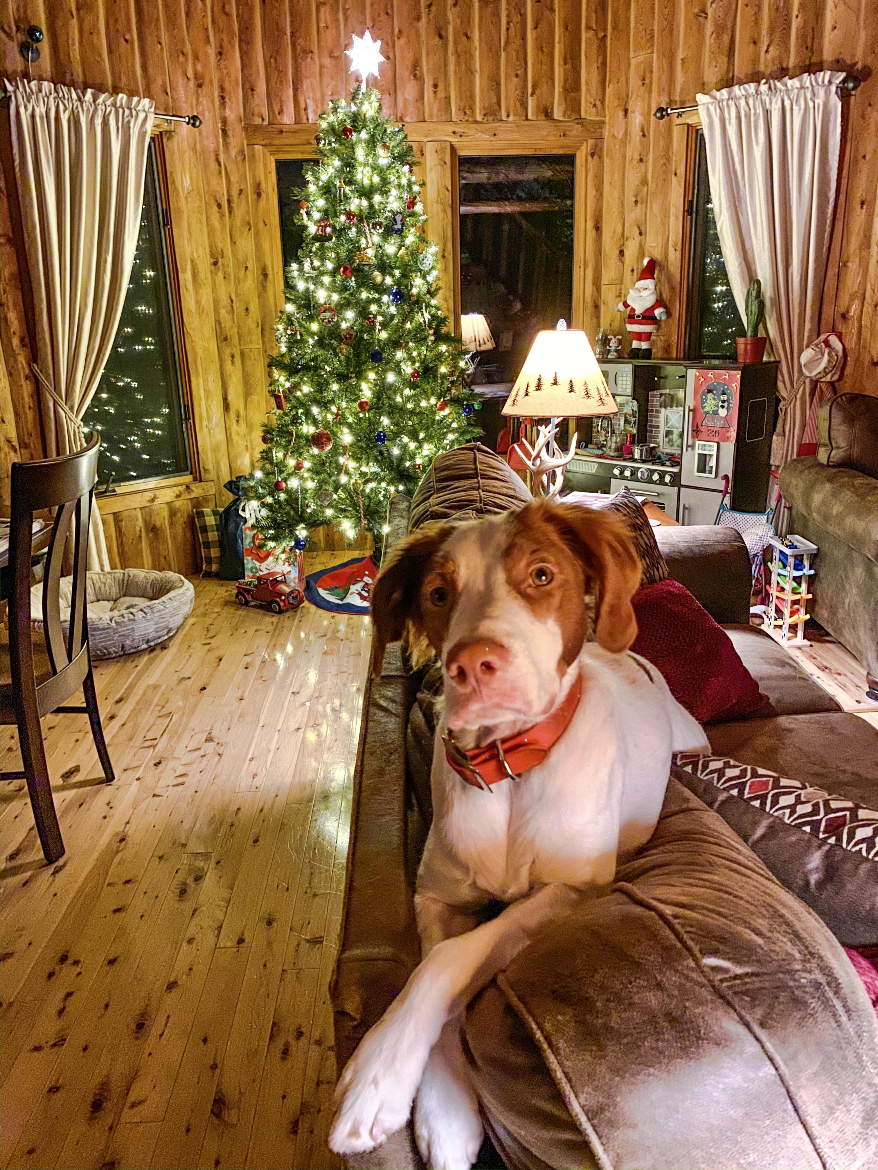 Handsome boy! | Scrolller