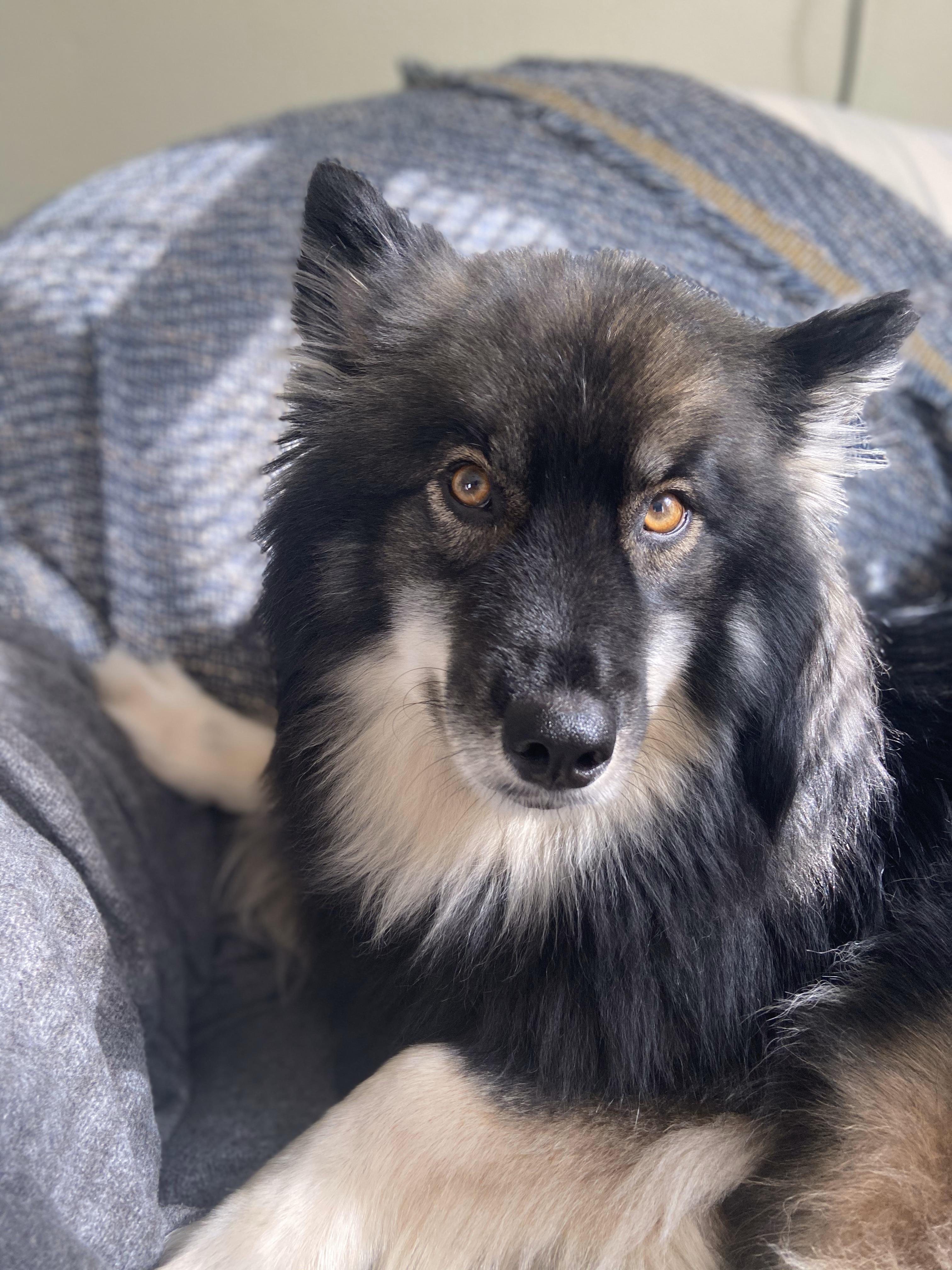 Handsome boy with a fresh blowout | Scrolller