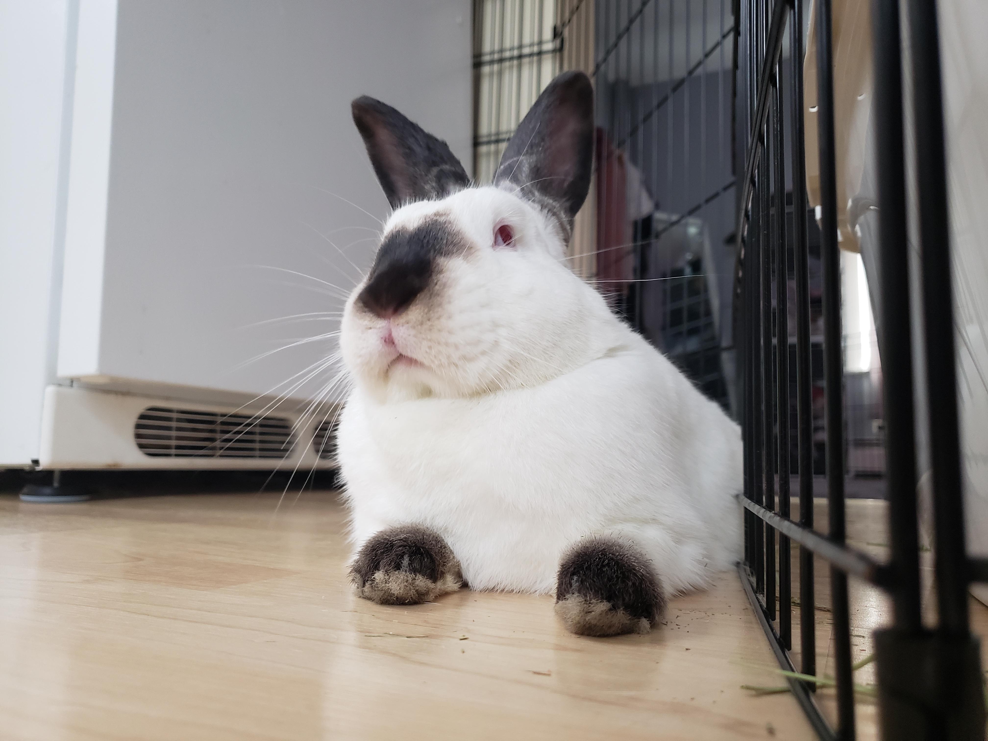 Handsome devil. | Scrolller