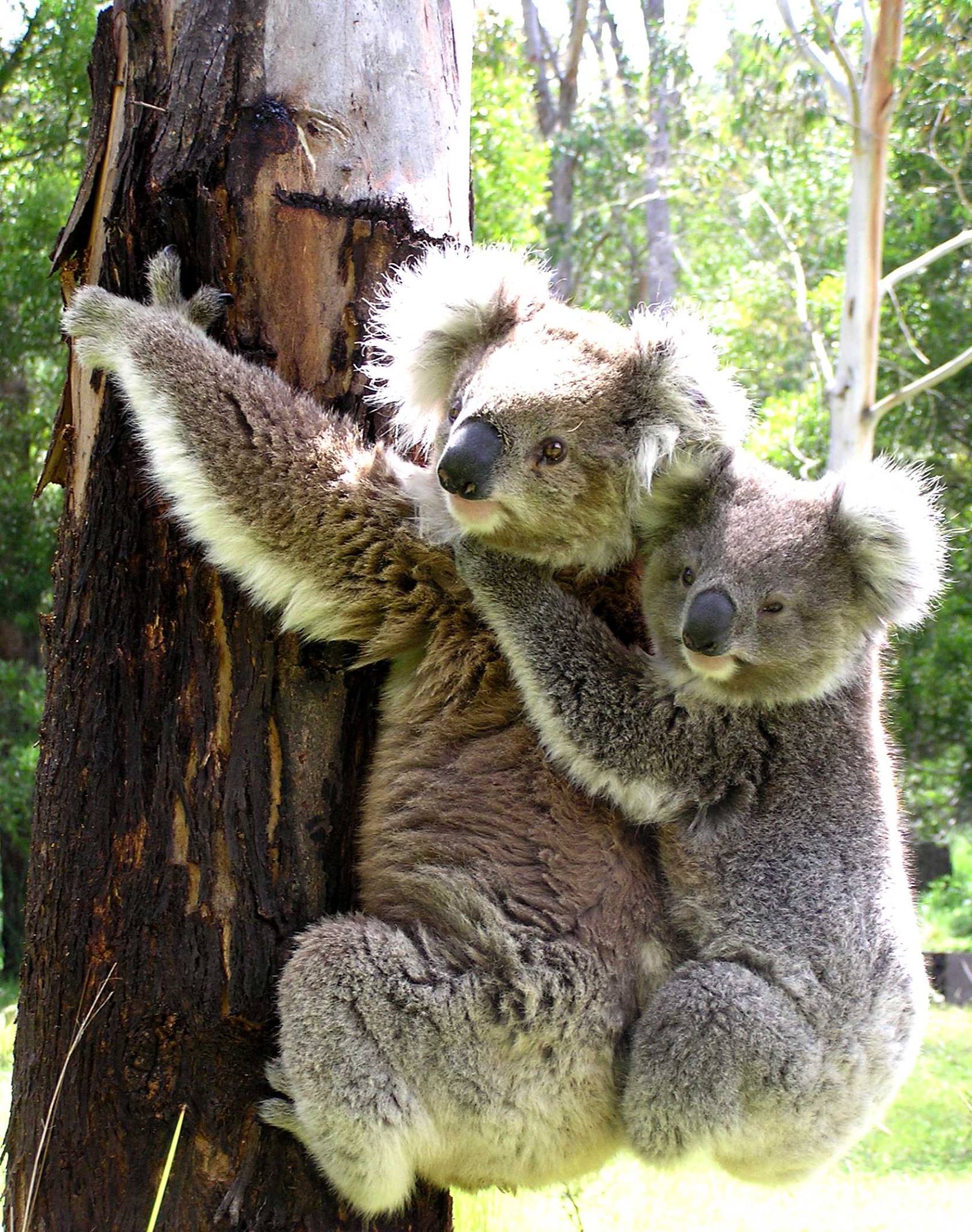 Hang in there! | Scrolller