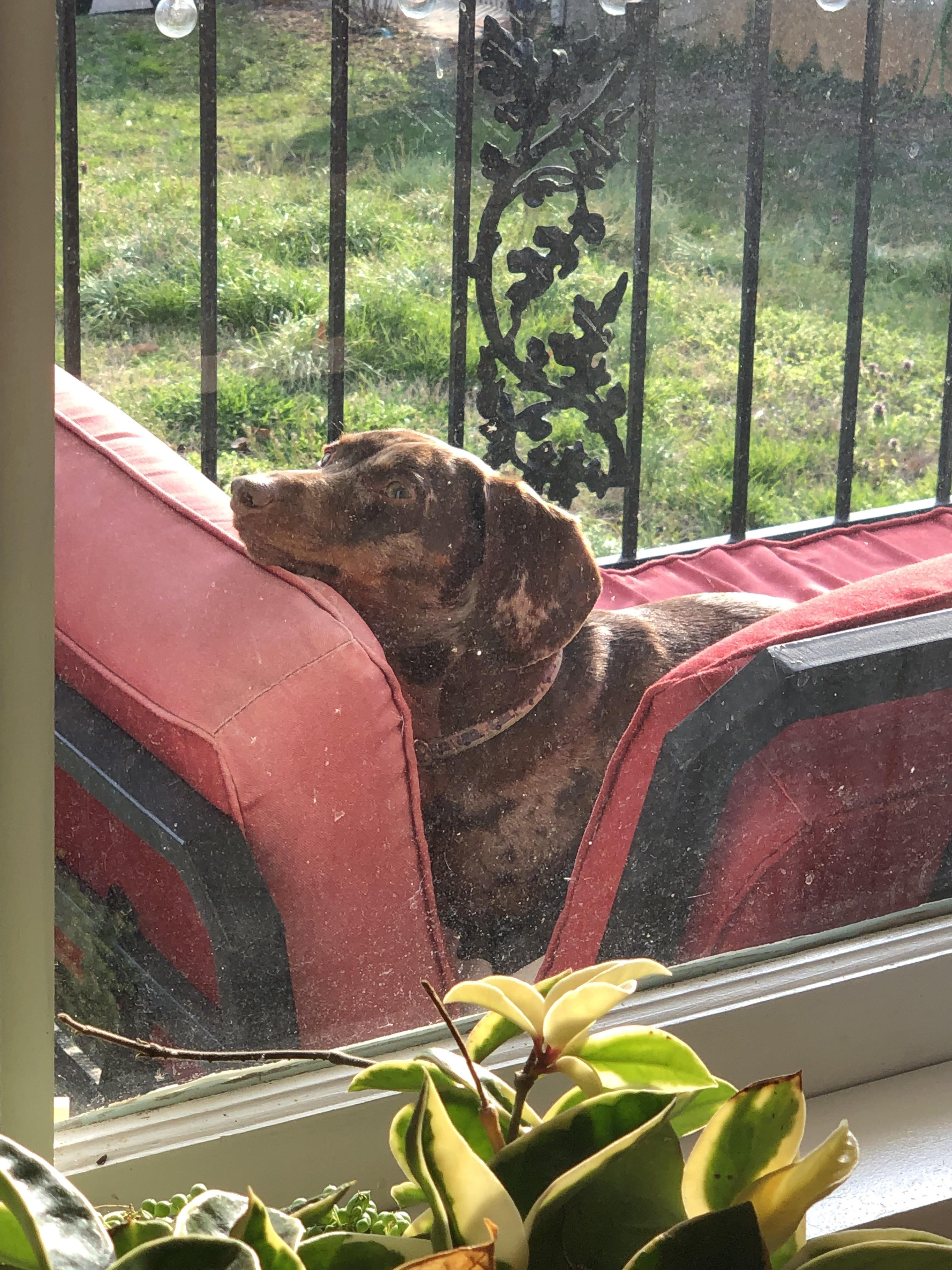 Hanging out on the front porch. | Scrolller