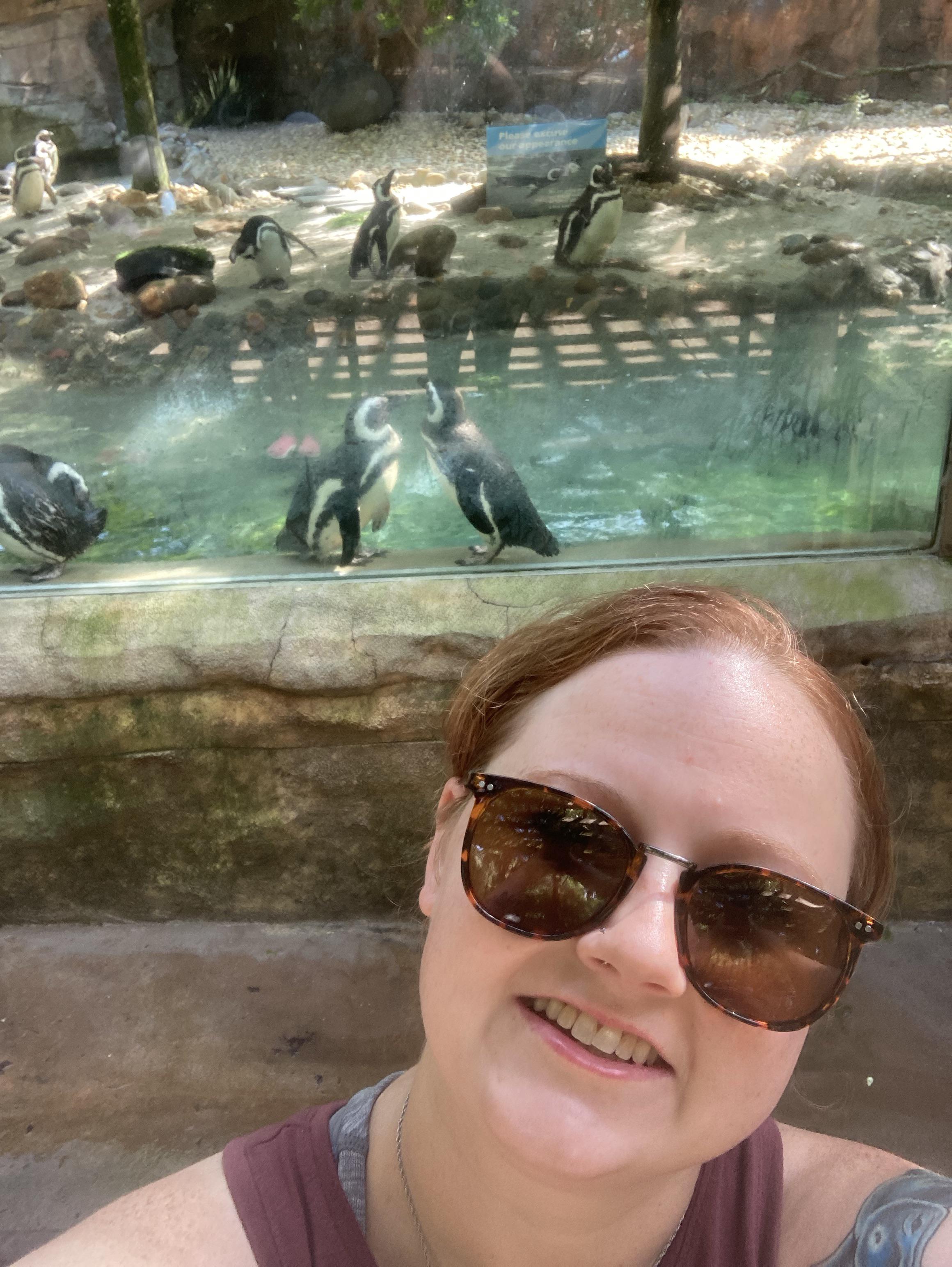 Hanging out with penguins 💕 | Scrolller