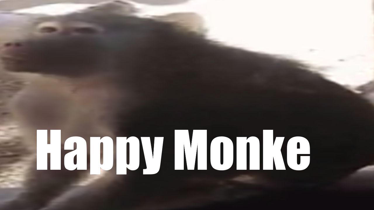 hap monke | Scrolller