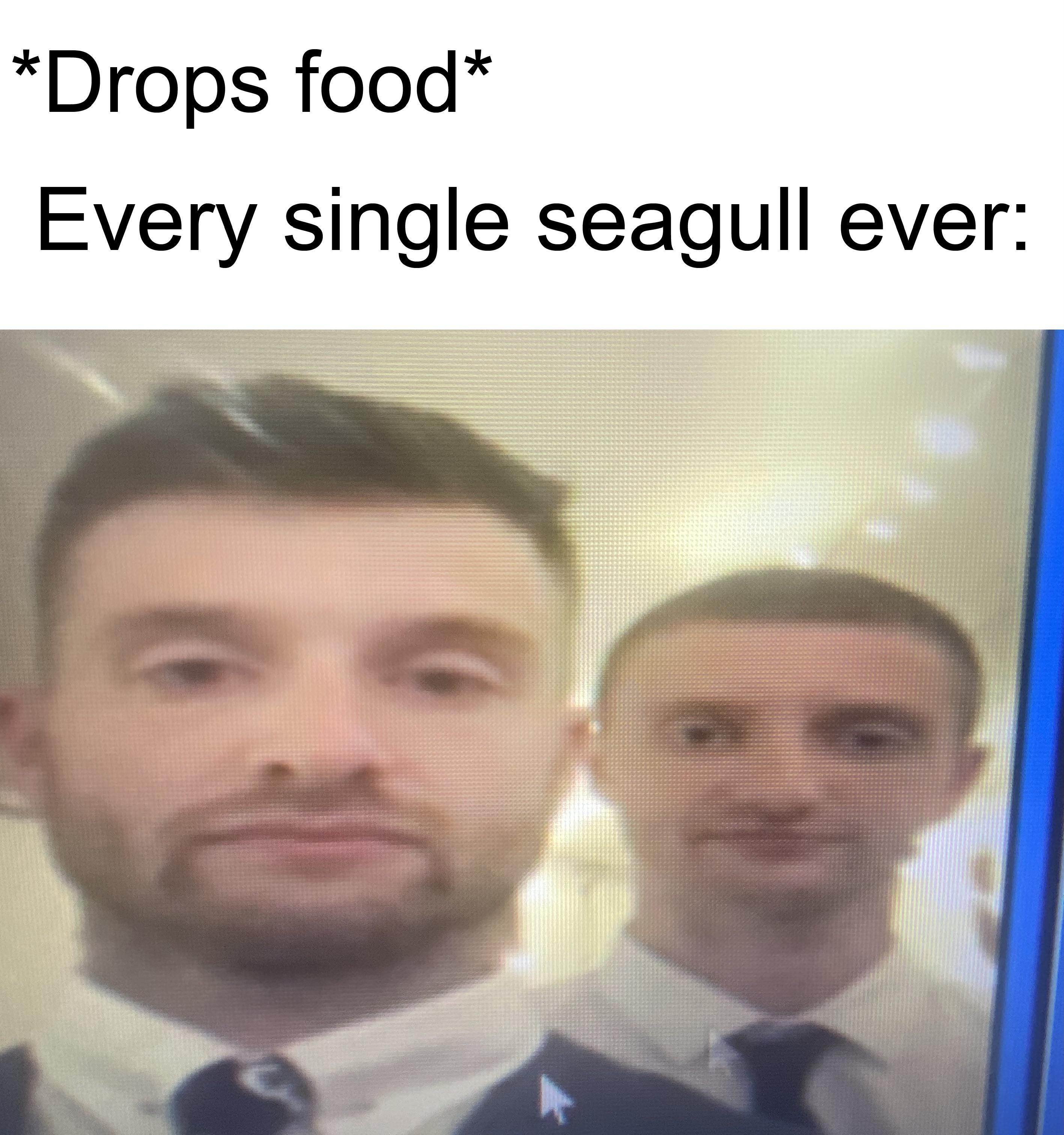 Happens every time... | Scrolller